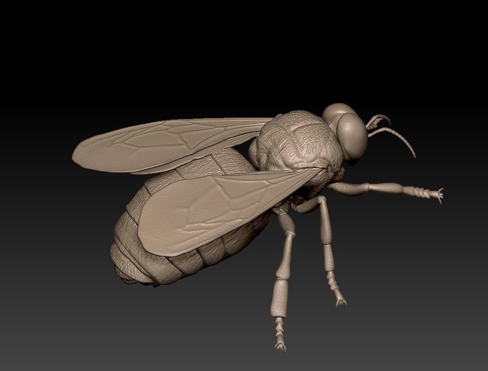Drone bee 3D model 3D printable | CGTrader