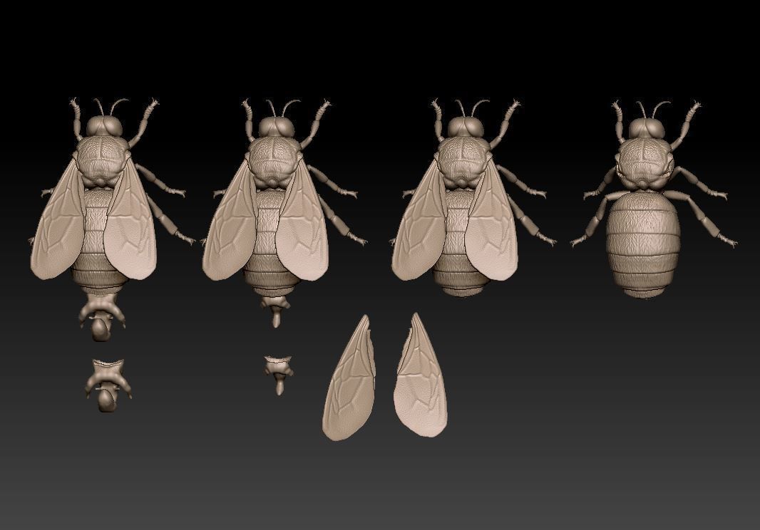 Drone bee 3D model 3D printable | CGTrader