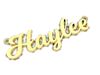 haylee name plate 3D model 3D printable | CGTrader