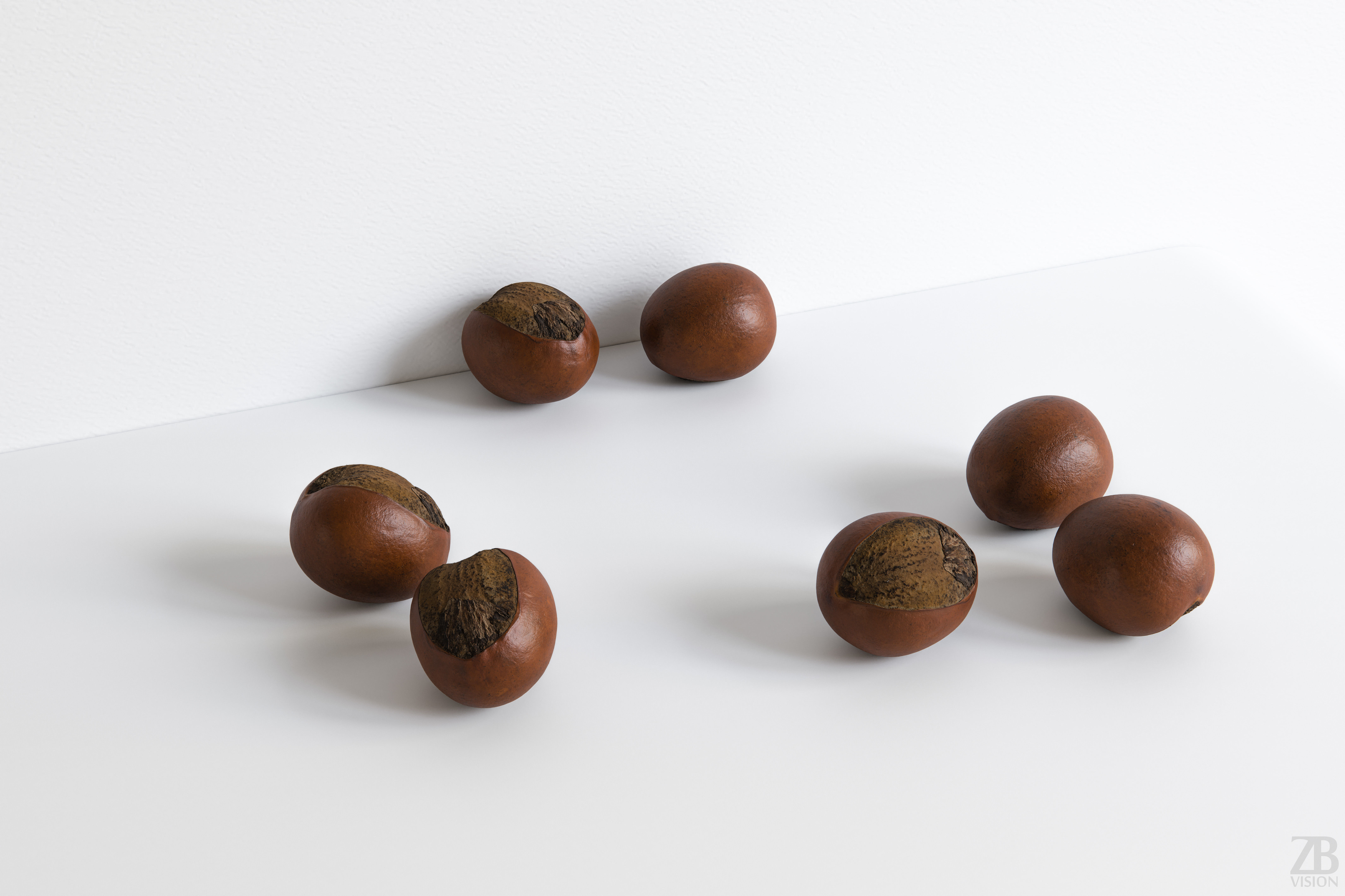 Shea Nut 3D model | CGTrader