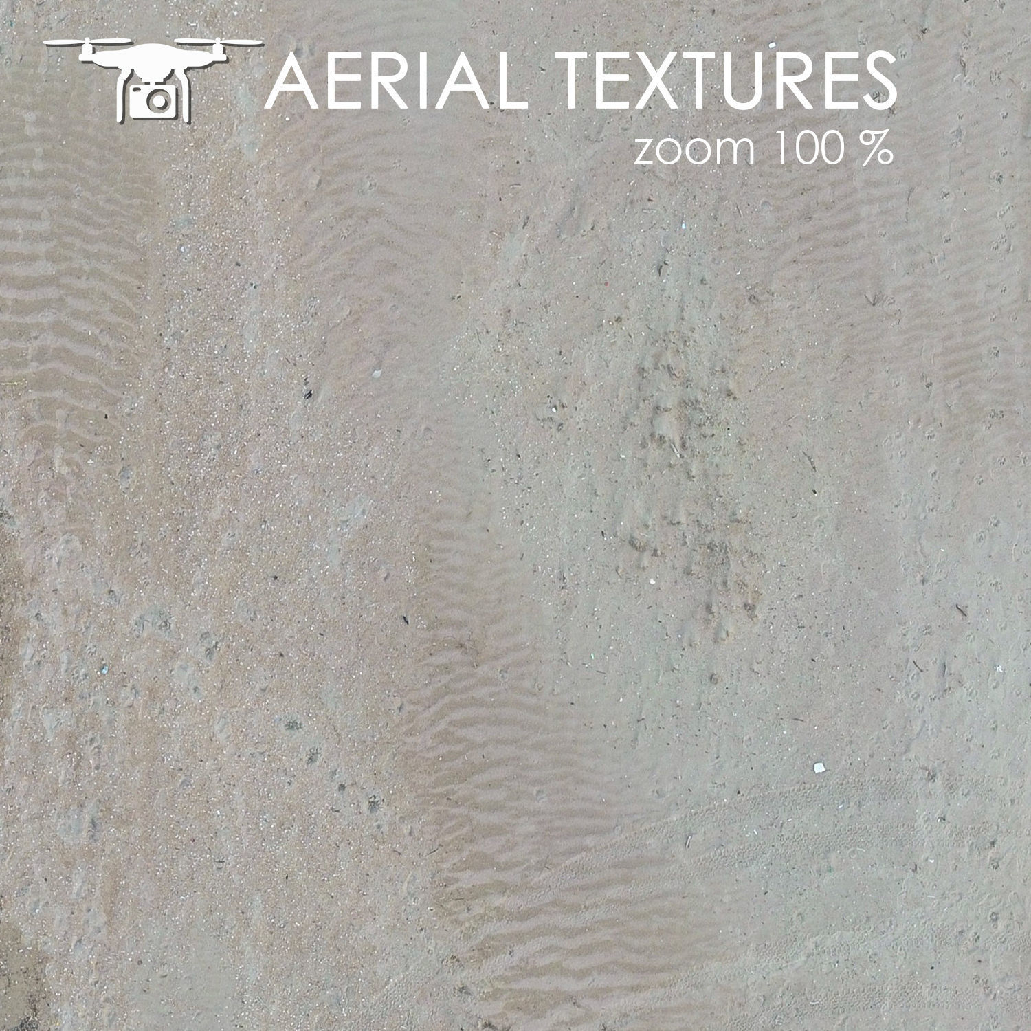 Sandy beach with algae 341 Texture | CGTrader