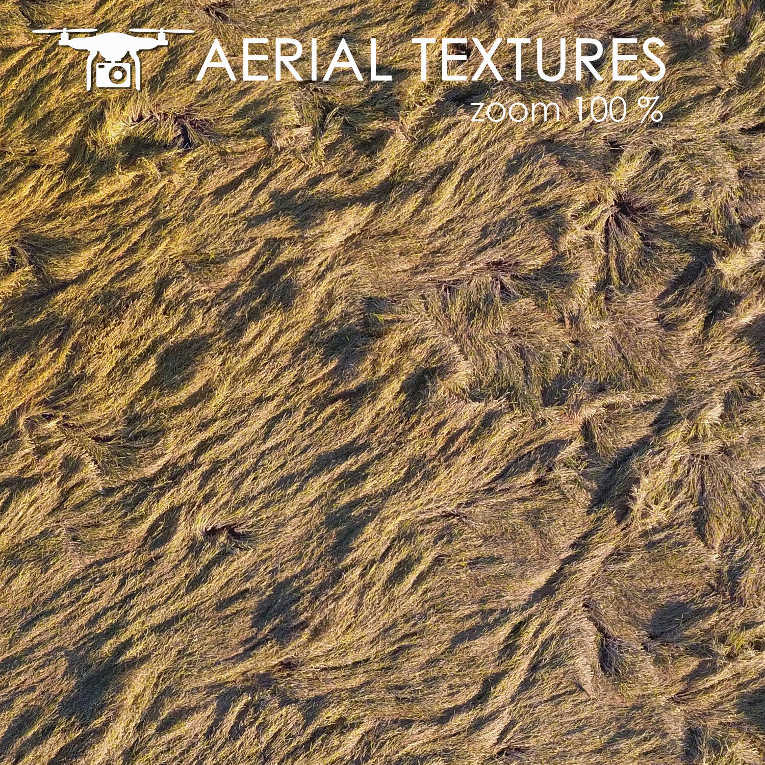 Field 344 Texture | CGTrader