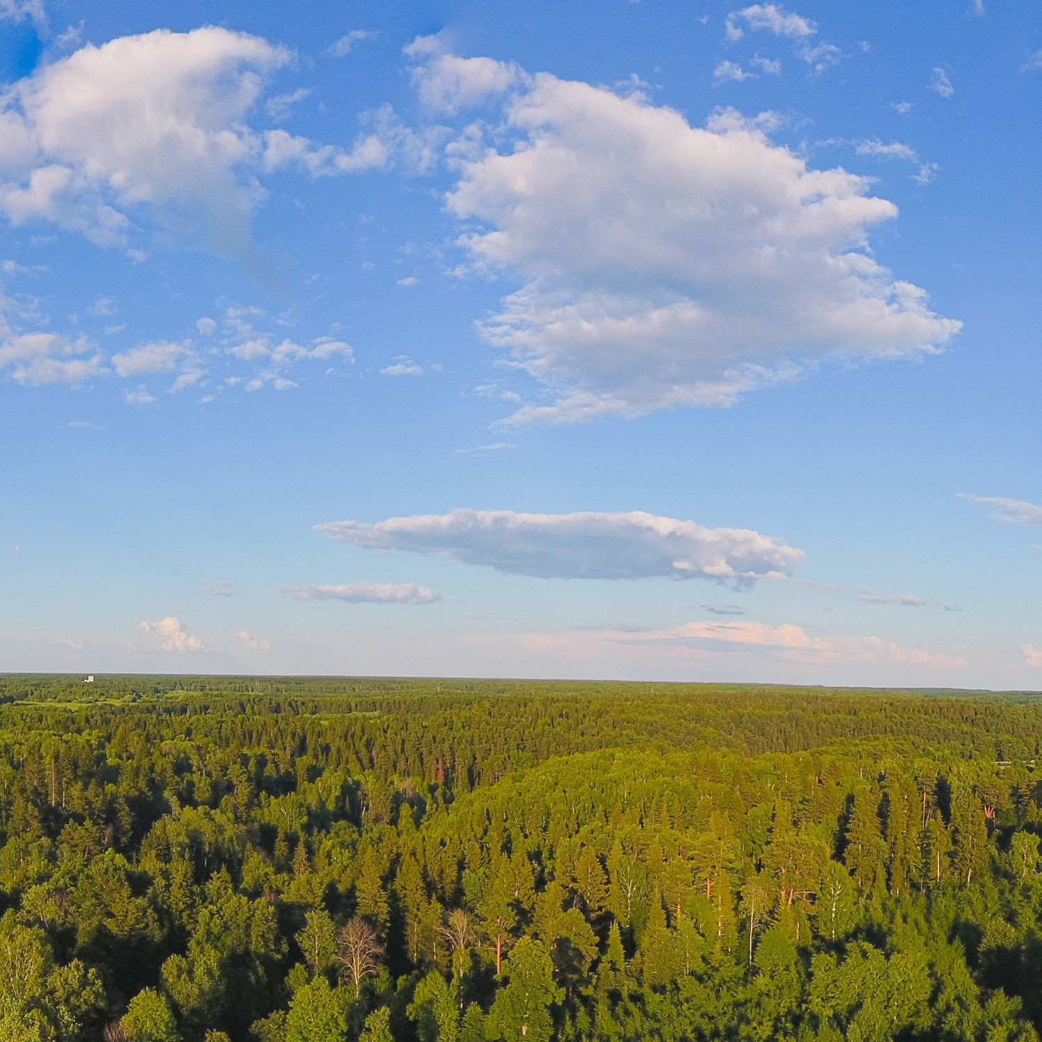 HDRI 99 Texture | CGTrader