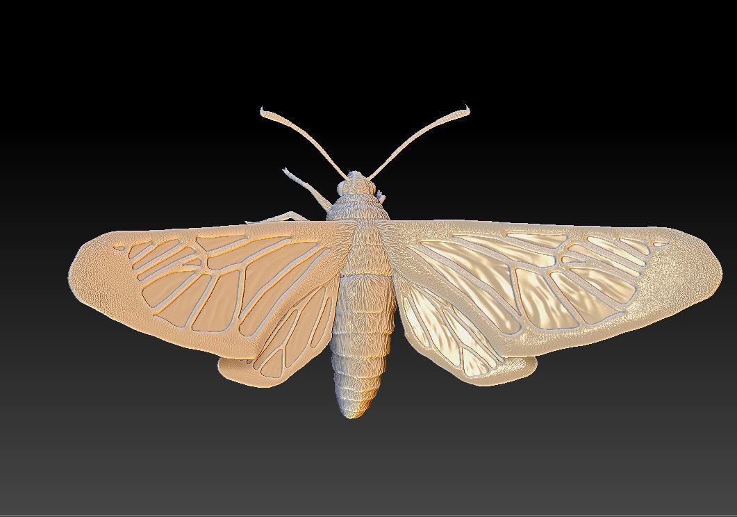 Moths Cosmosoma myrodora 3D model 3D printable | CGTrader