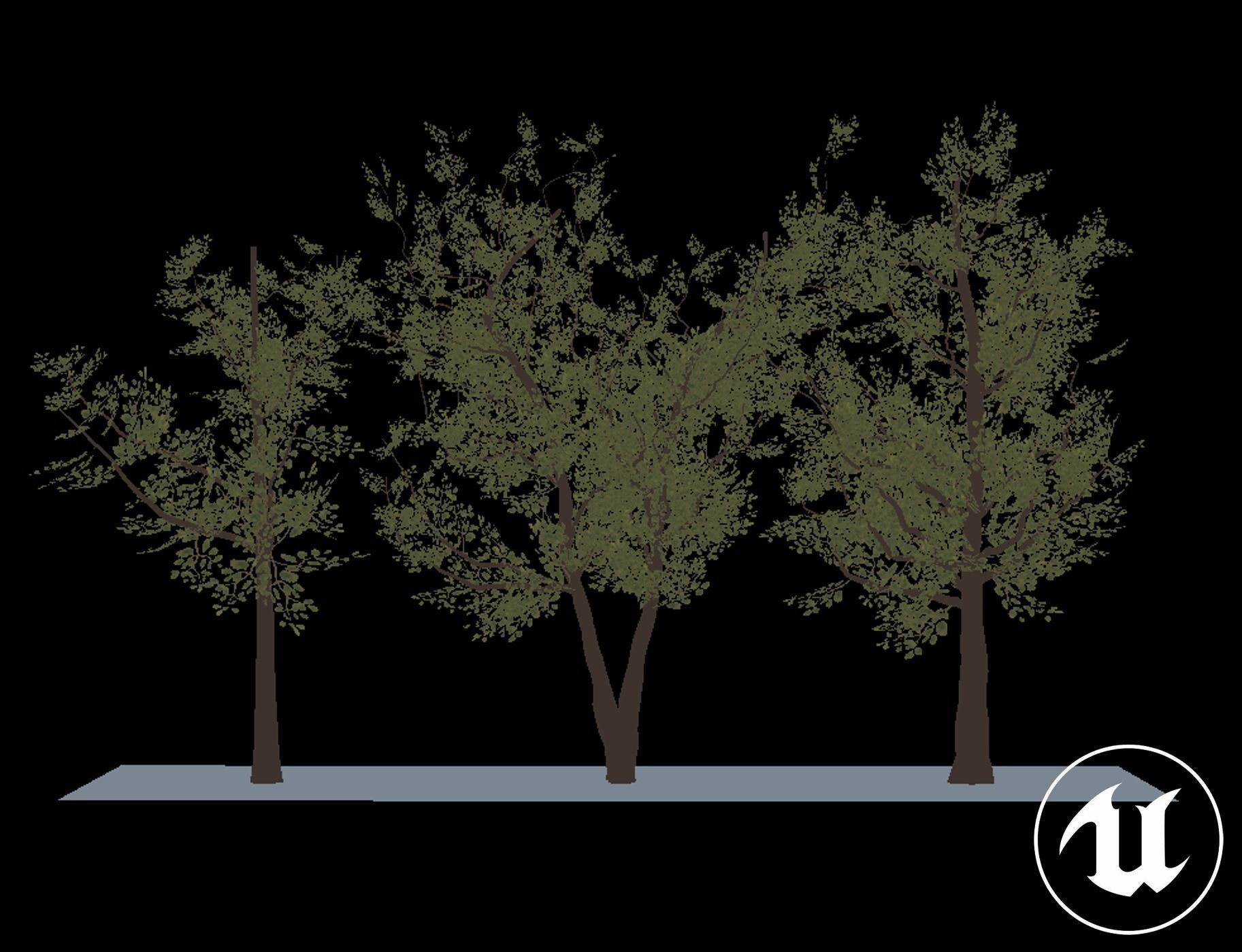 3D model Oak trees kit VR / AR / low-poly | CGTrader