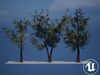 3D model Oak trees kit VR / AR / low-poly | CGTrader