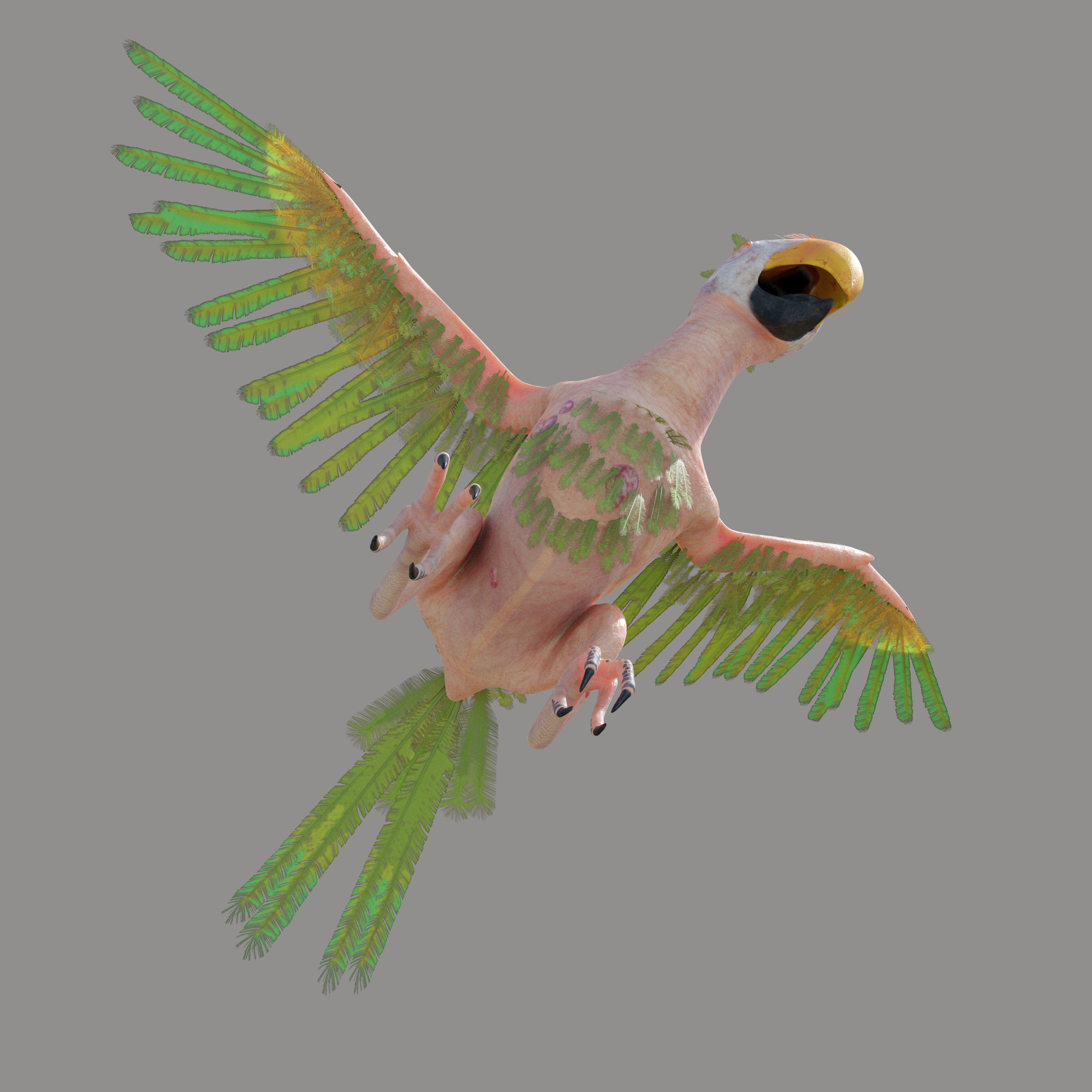 3D model Parrot Monster VR / AR / low-poly | CGTrader