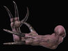 3D model Clawed Monster Arms VR / AR / low-poly | CGTrader