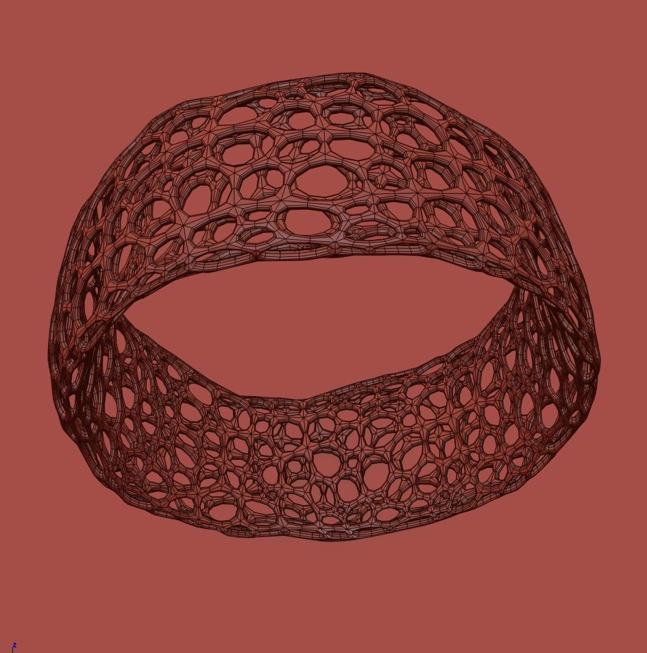3D Printable Voronoi Double Shell rings 3D model 3D printable | CGTrader