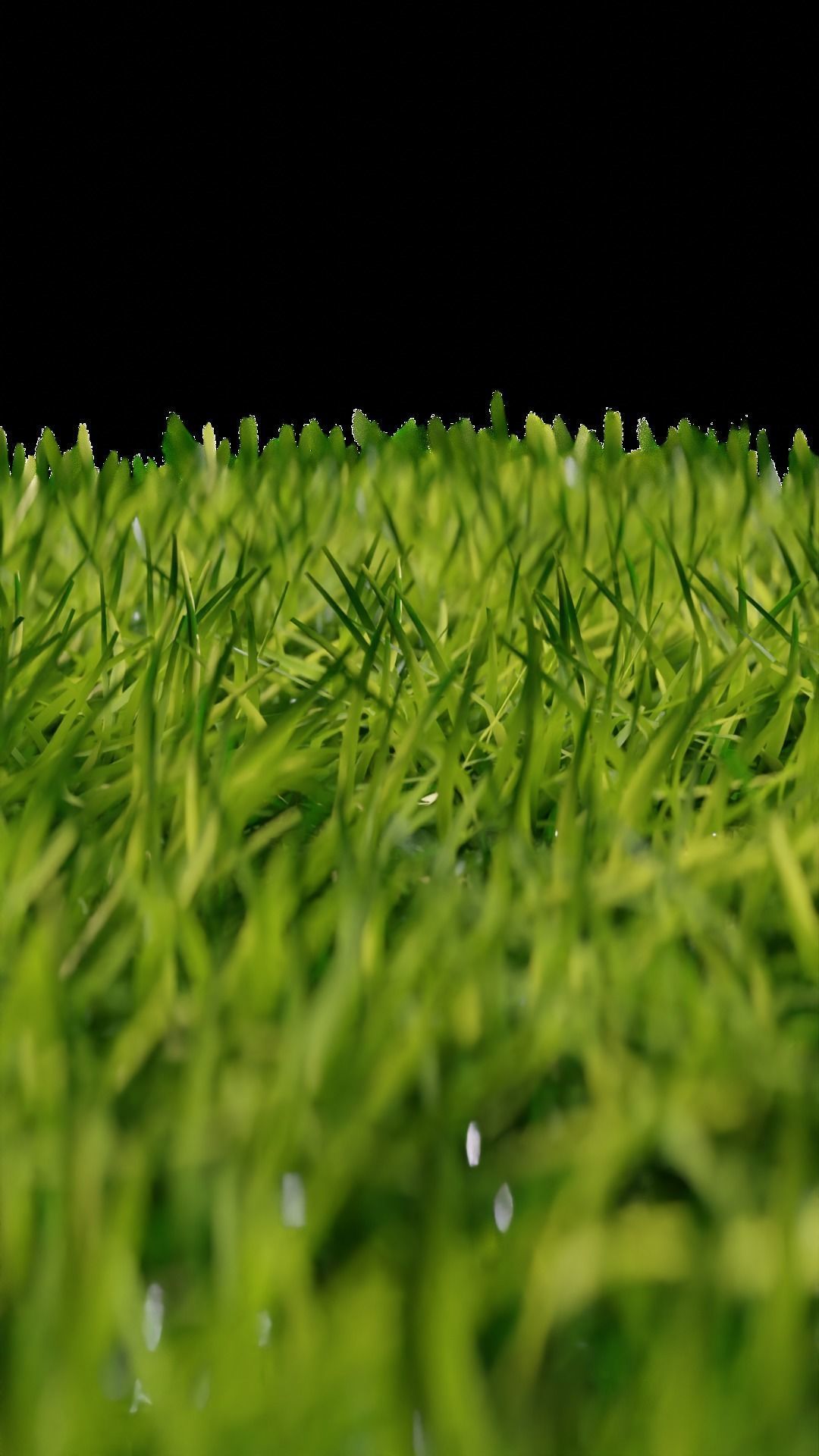 3D model Grass Geometry Node in Blender VR / AR / low-poly | CGTrader