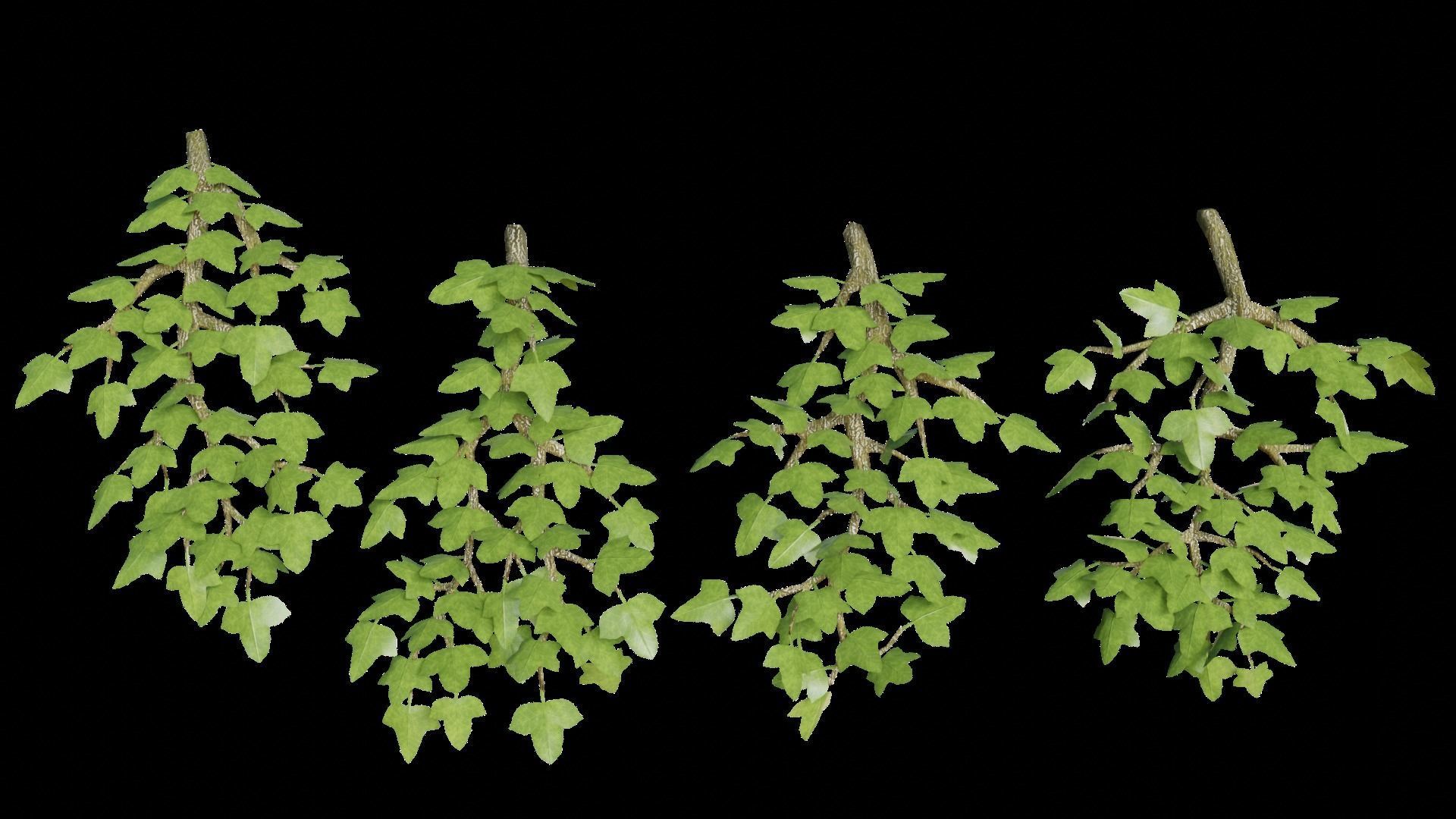 3D model Hanging Ivy Plants VR / AR / low-poly | CGTrader