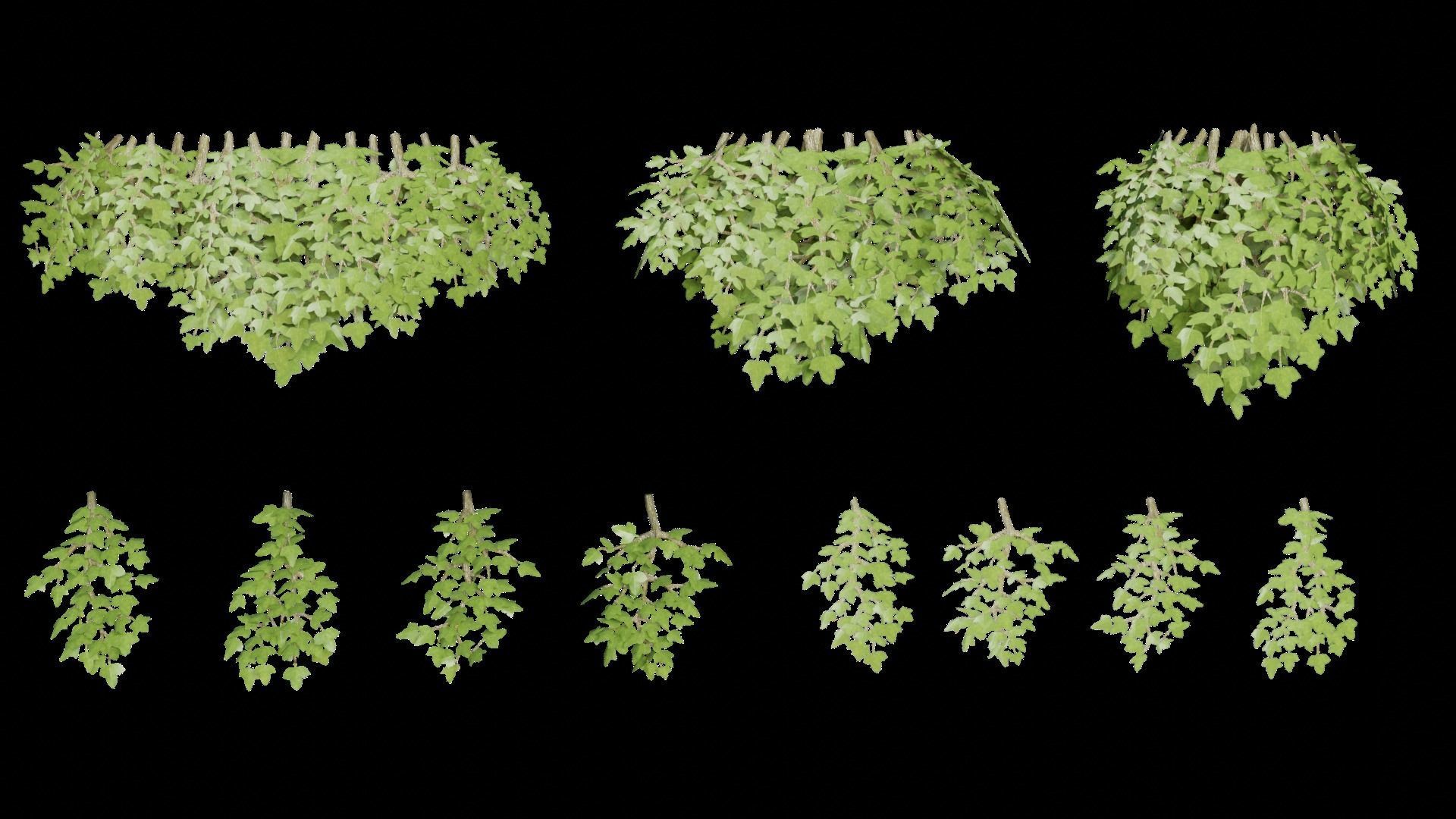 3D model Hanging Ivy Plants VR / AR / low-poly | CGTrader