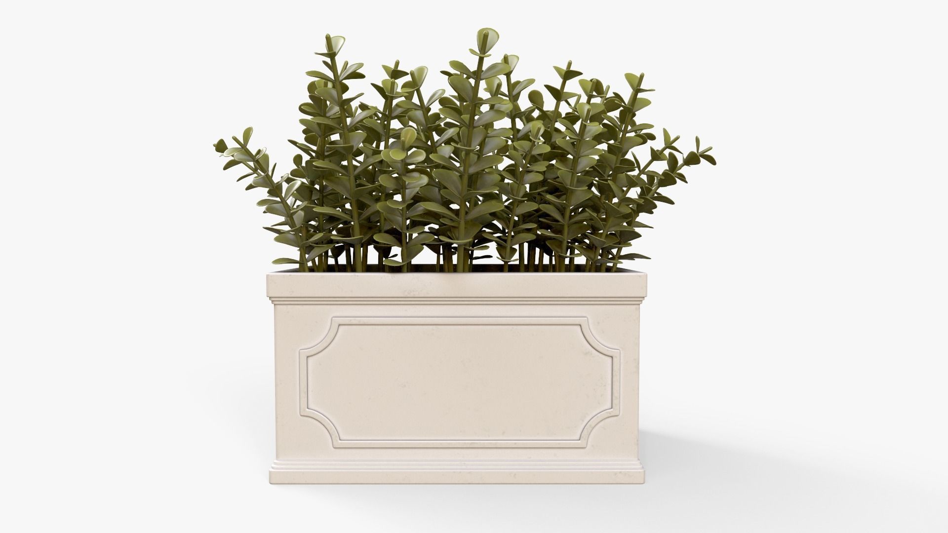 3D model Boxwood Plant pot VR / AR / low-poly | CGTrader