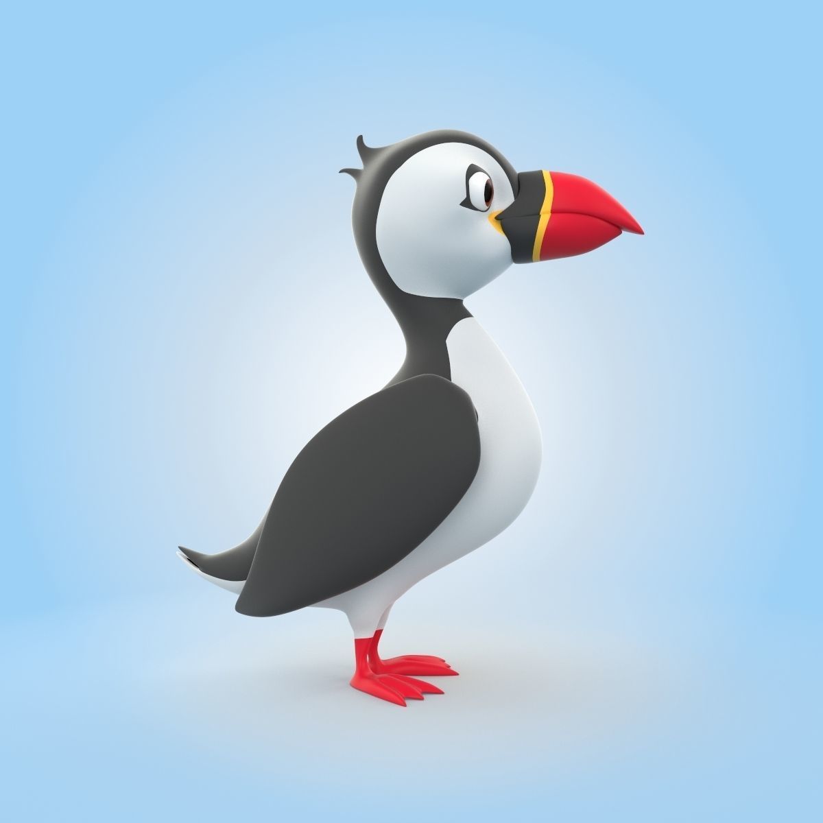 Puffin Bird 3D model animated | CGTrader
