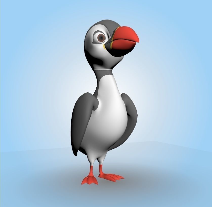 Puffin Bird 3D model animated | CGTrader