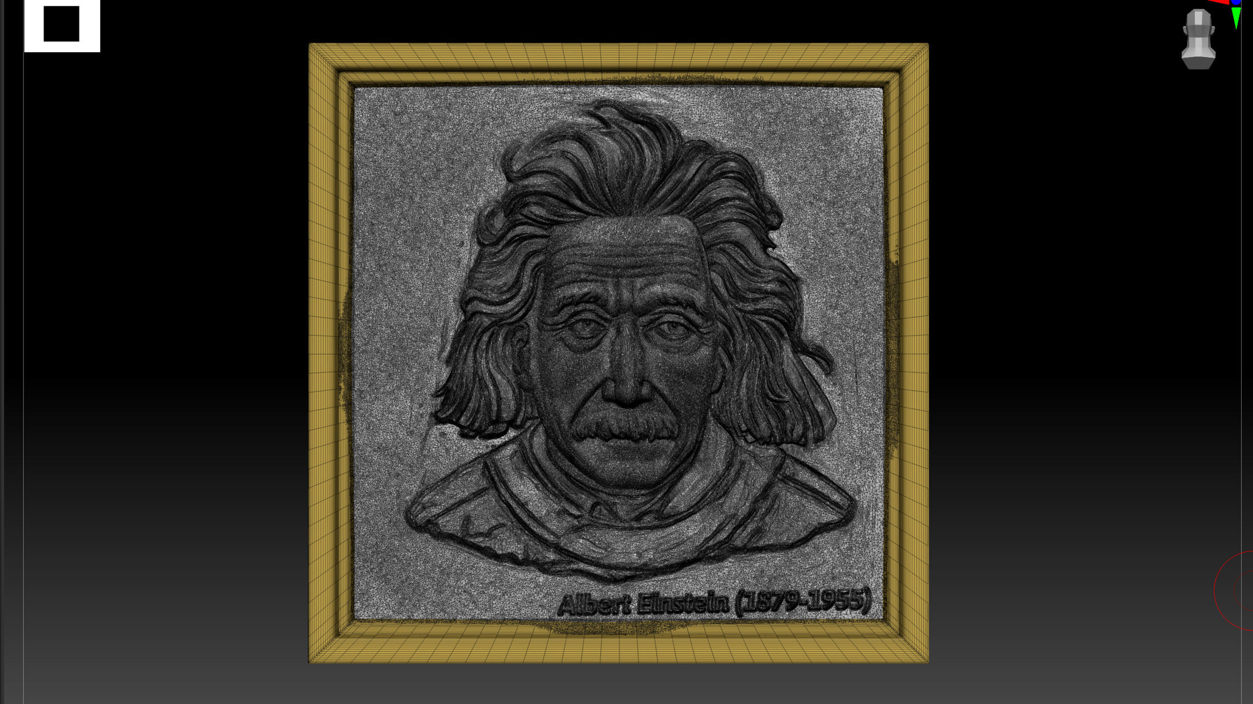 Einstein relief 3D model | CGTrader