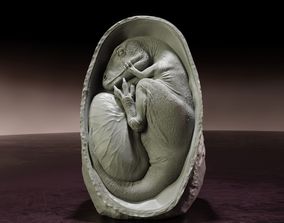 Embryo 3D Printing Models | CGTrader