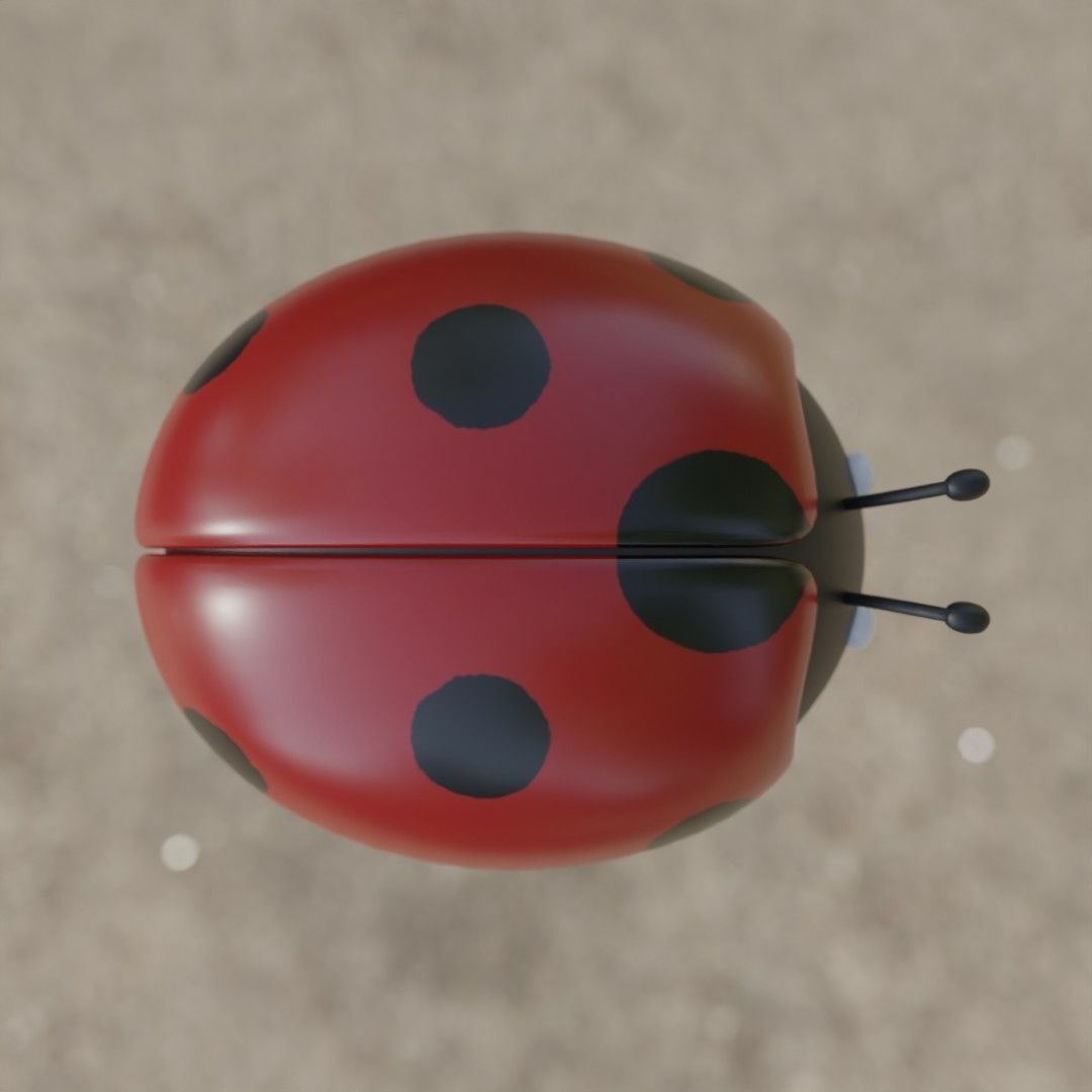 3D model Cartoon Ladybug VR / AR / low-poly | CGTrader