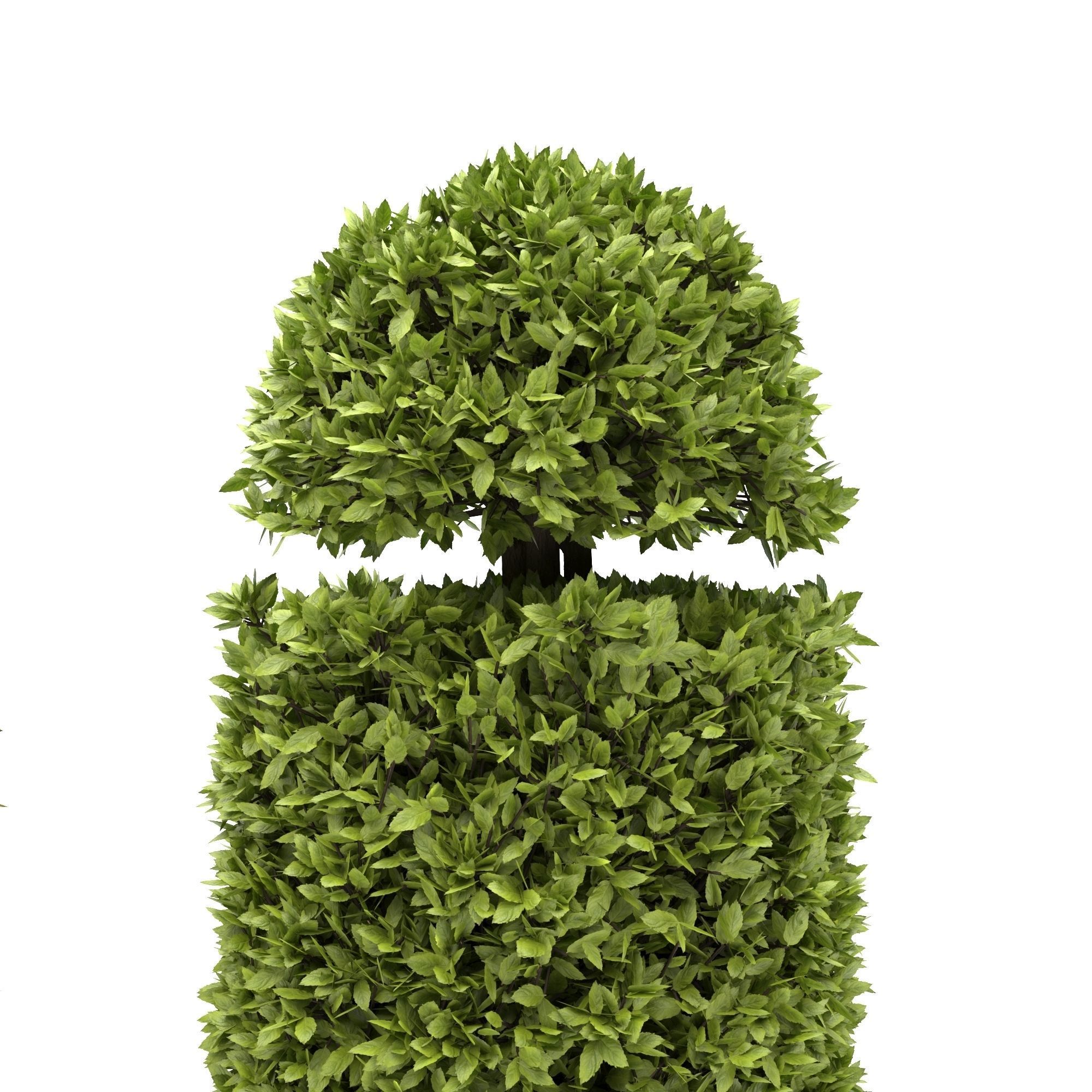 bush set 67 3D model | CGTrader