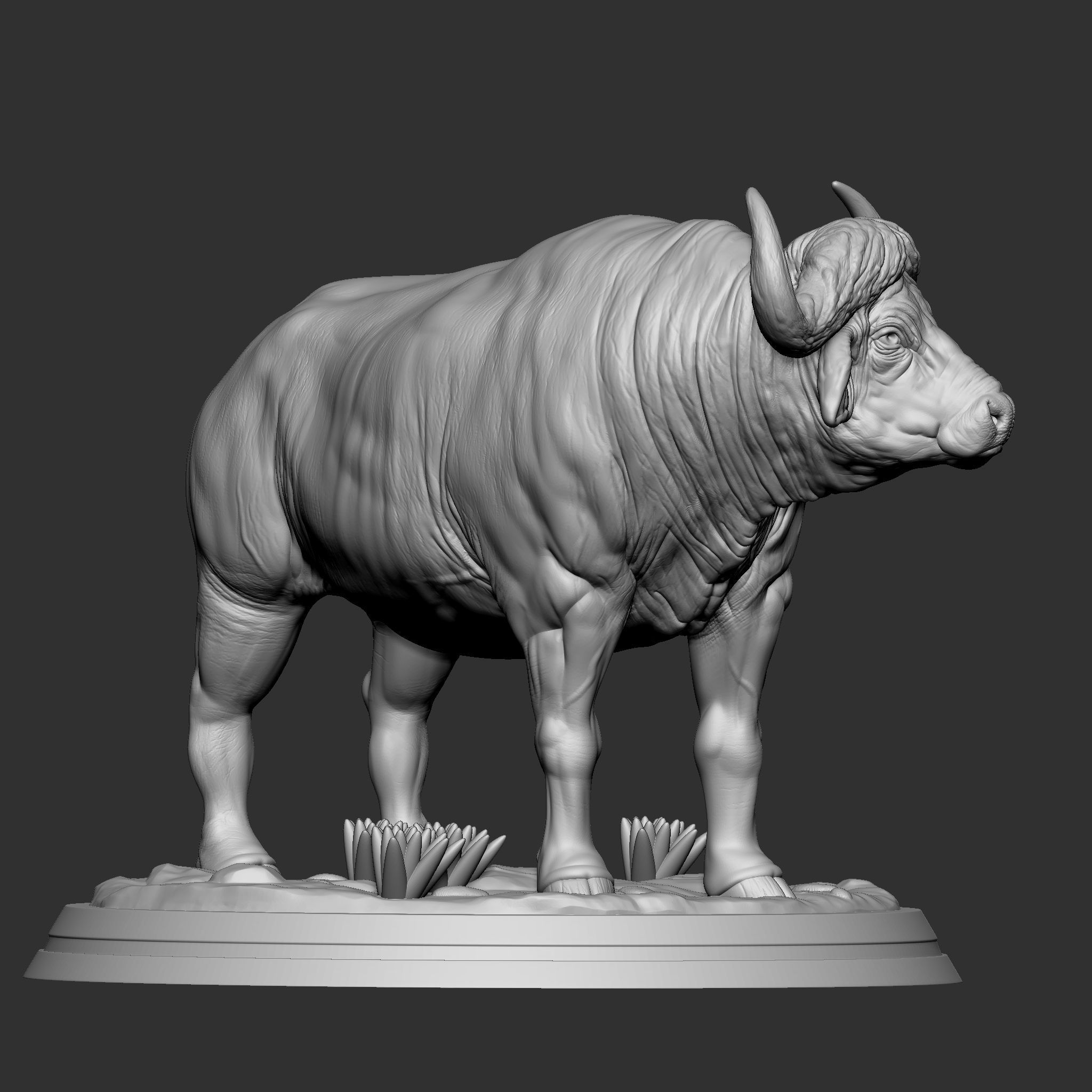CAPE BUFFALO 3D model 3D printable | CGTrader