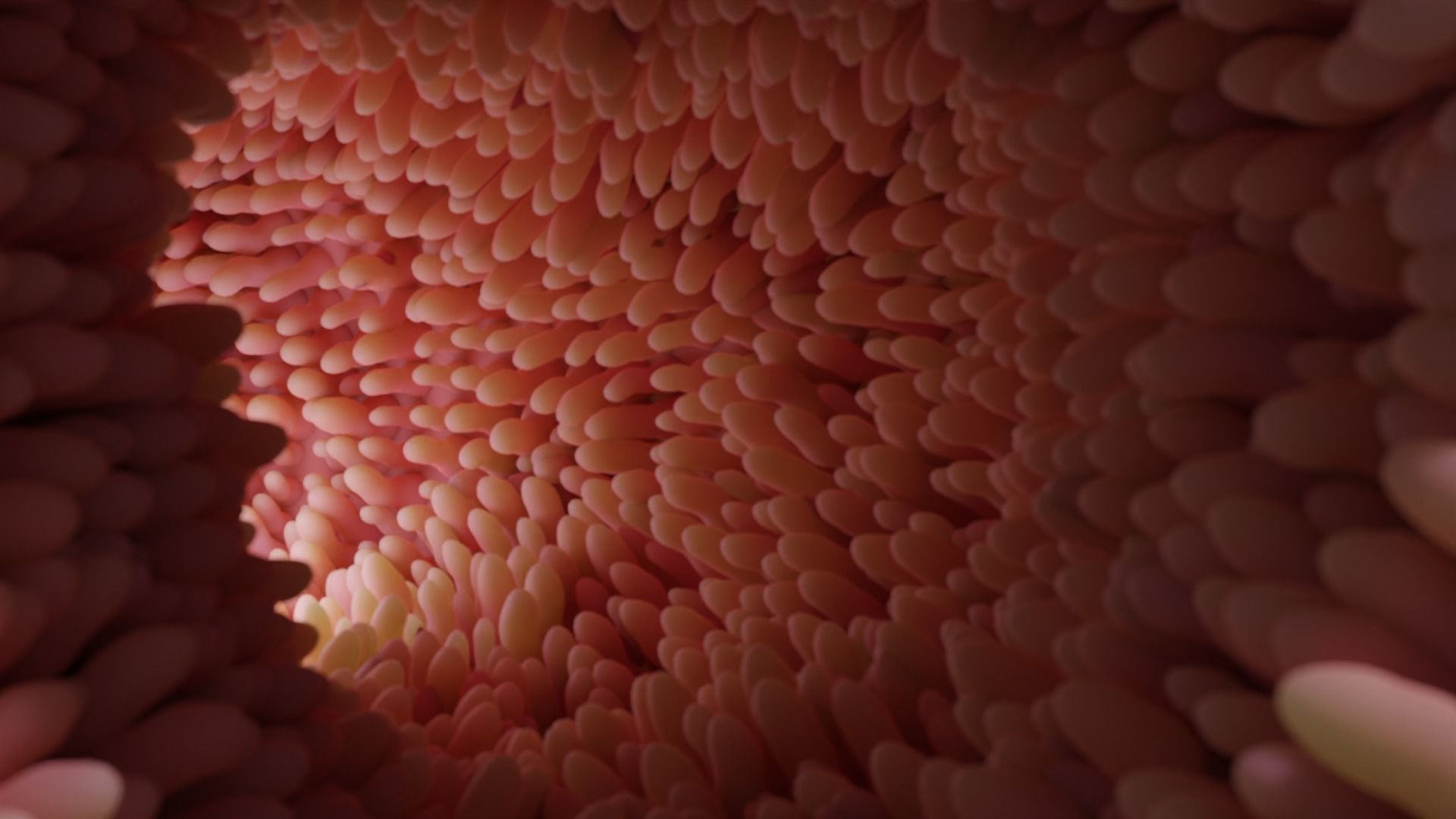 3D model villi 3D model Intestinal VR / AR / low-poly | CGTrader