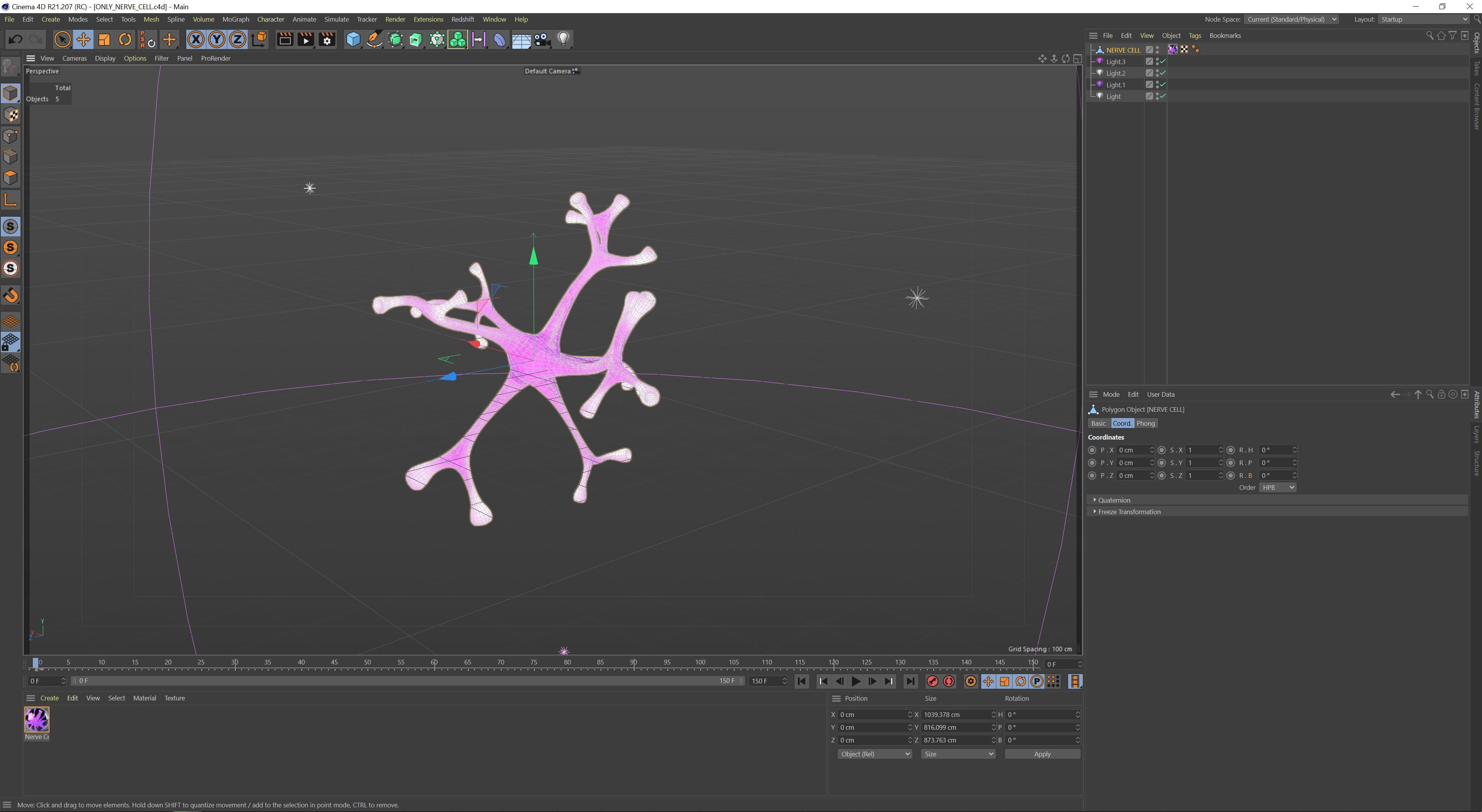3D model Nerve Cell VR / AR / low-poly | CGTrader