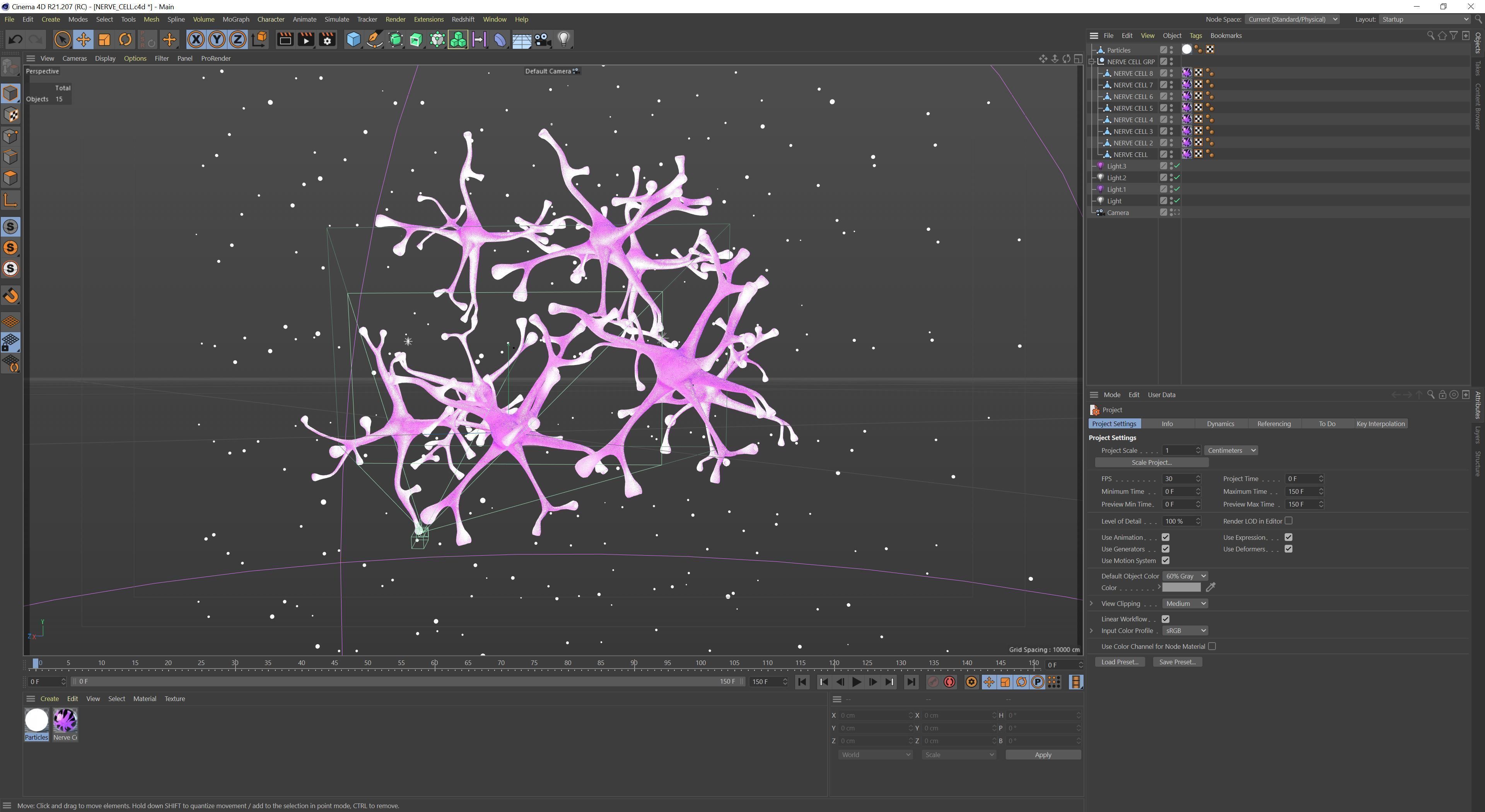 3D model Nerve Cell VR / AR / low-poly | CGTrader