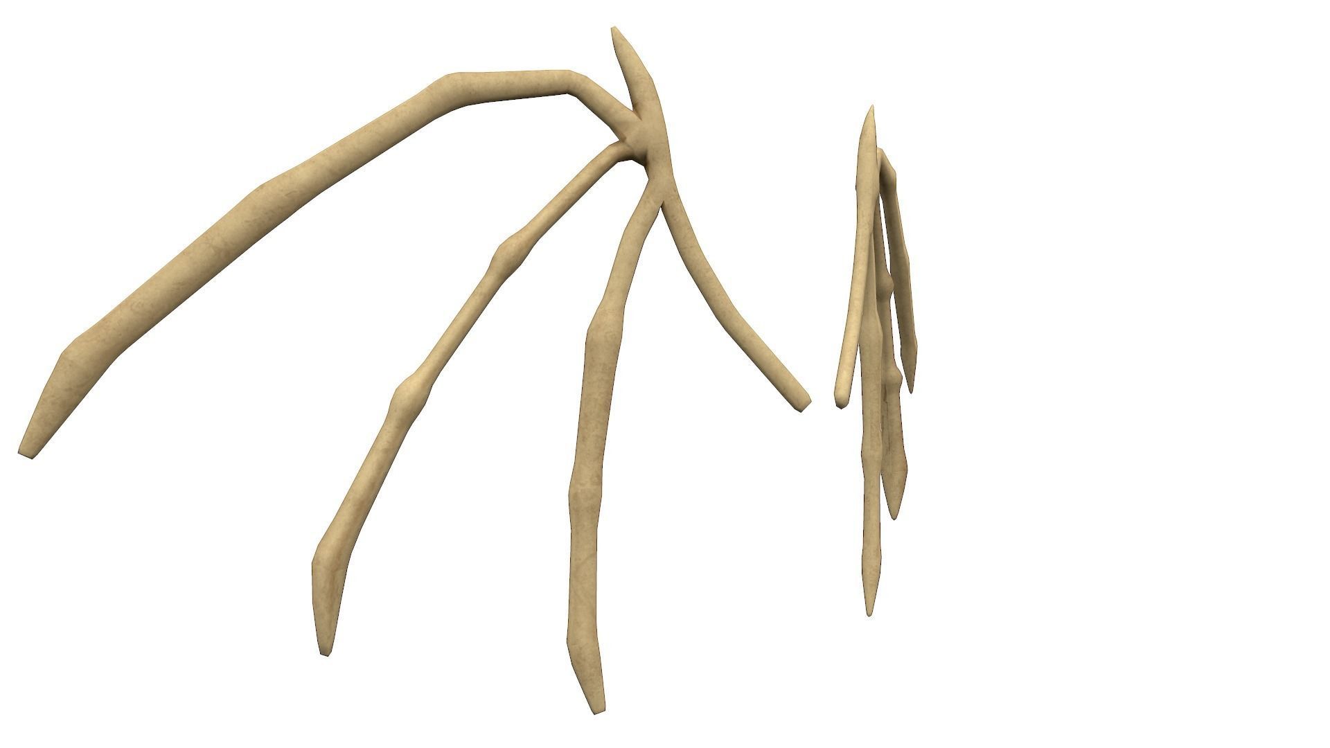3D model Bone Demon Wing VR / AR / low-poly | CGTrader