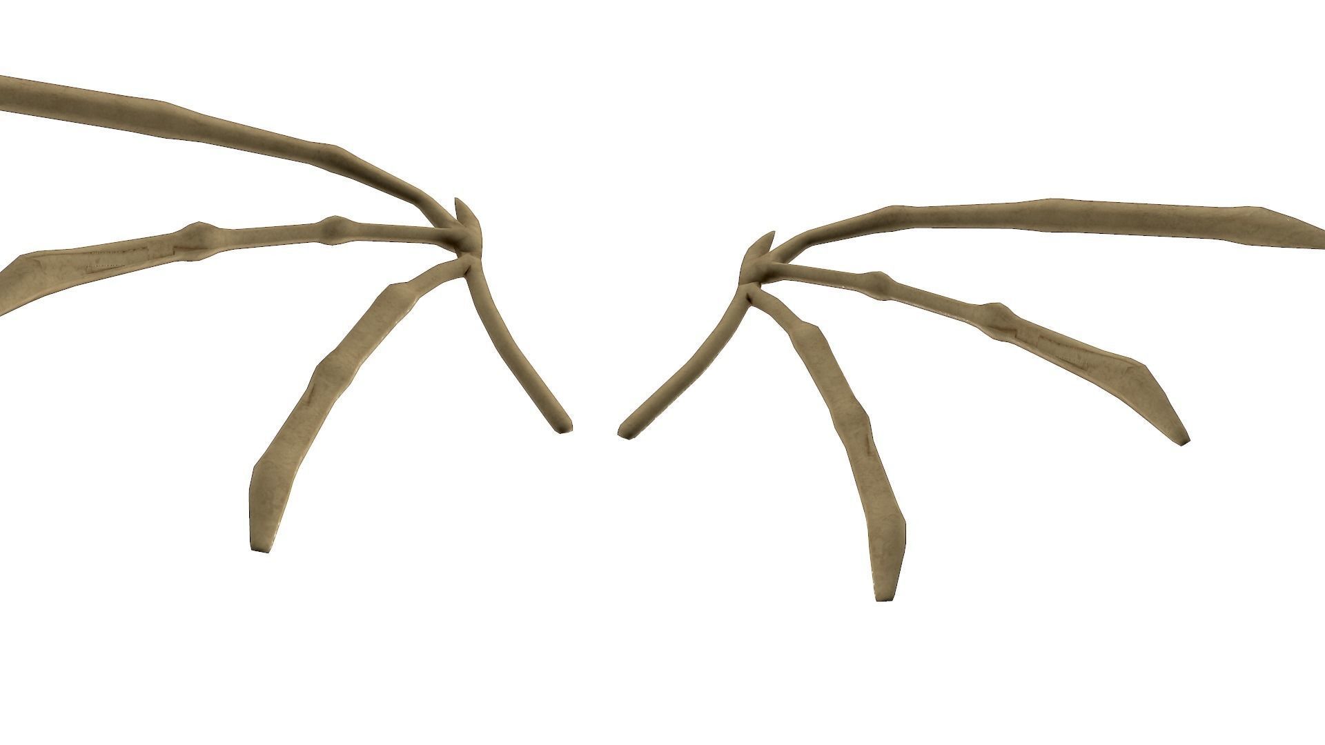 3D model Bone Demon Wing VR / AR / low-poly | CGTrader