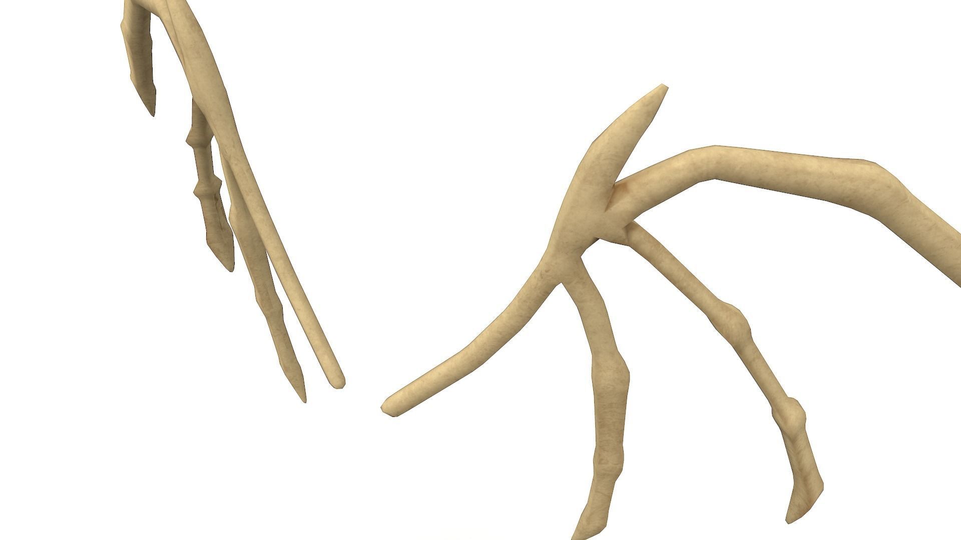 3D model Bone Demon Wing VR / AR / low-poly | CGTrader