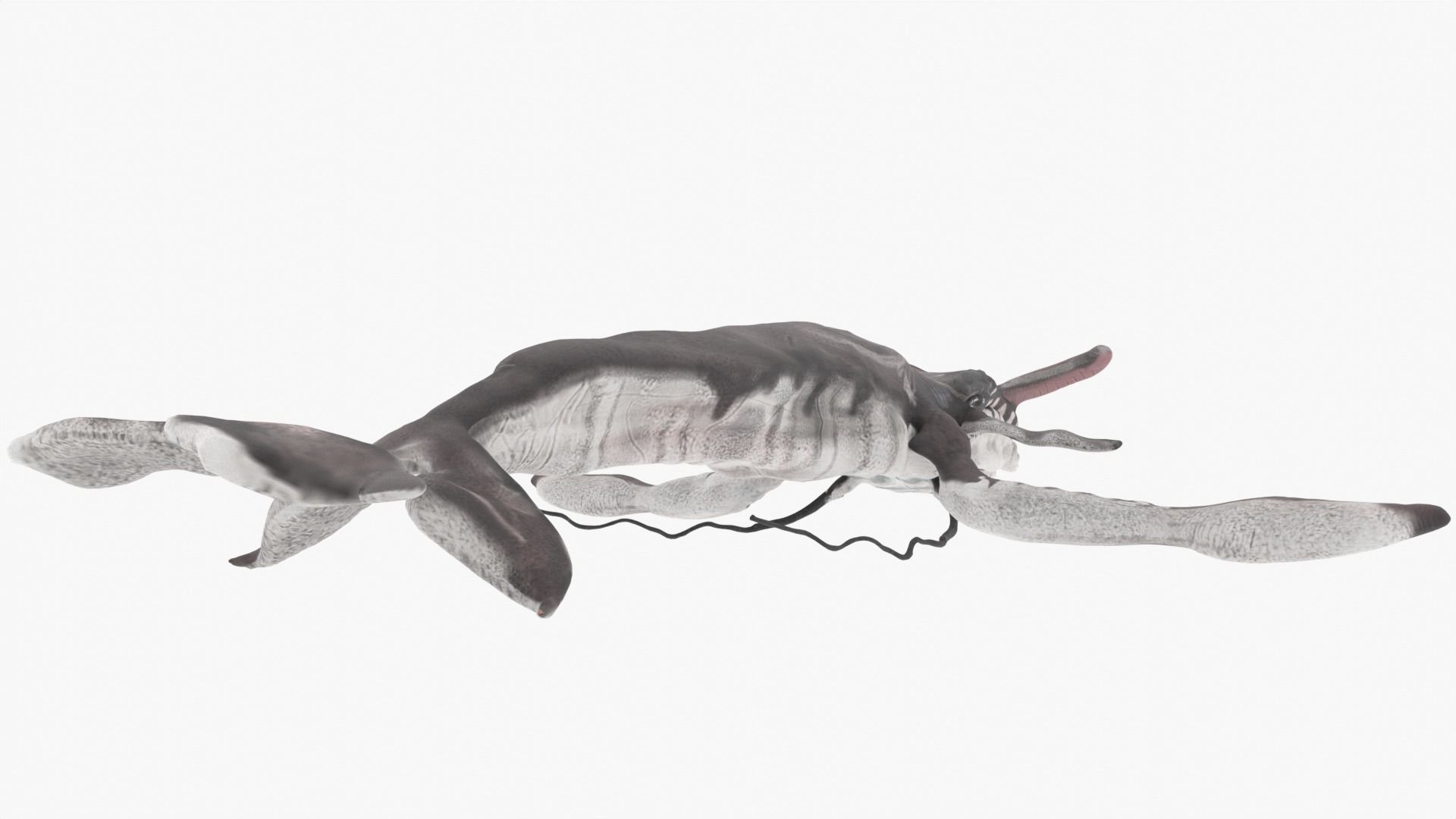 3D model Tulkun from Avatar Rigged 3D Model VR / AR / low-poly | CGTrader