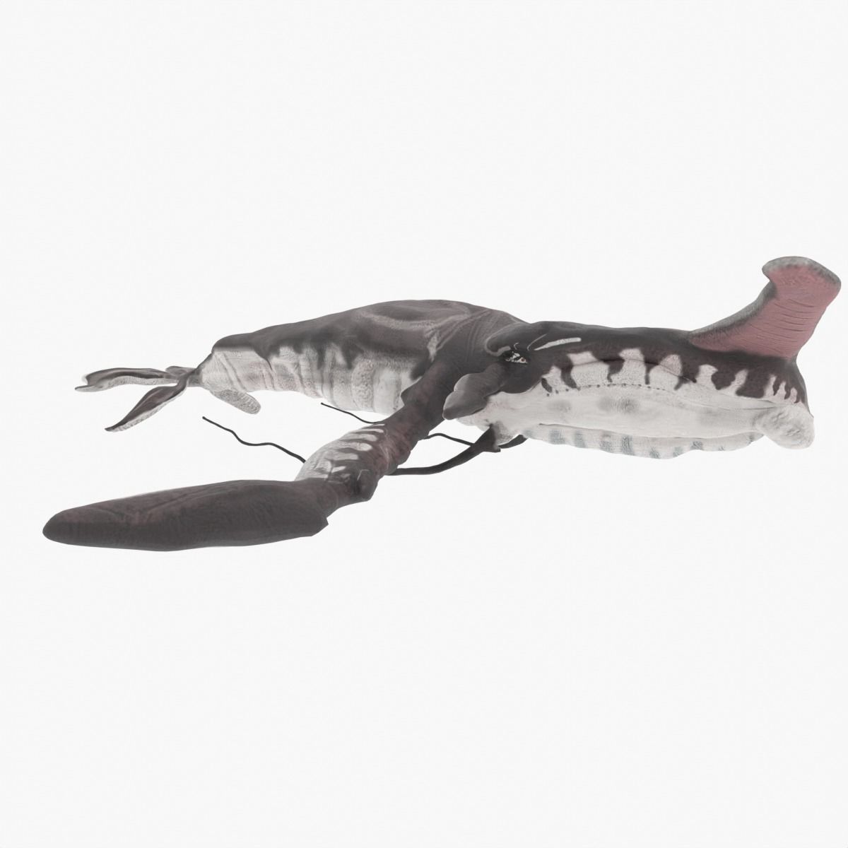 3D model Tulkun from Avatar Rigged 3D Model VR / AR / low-poly | CGTrader