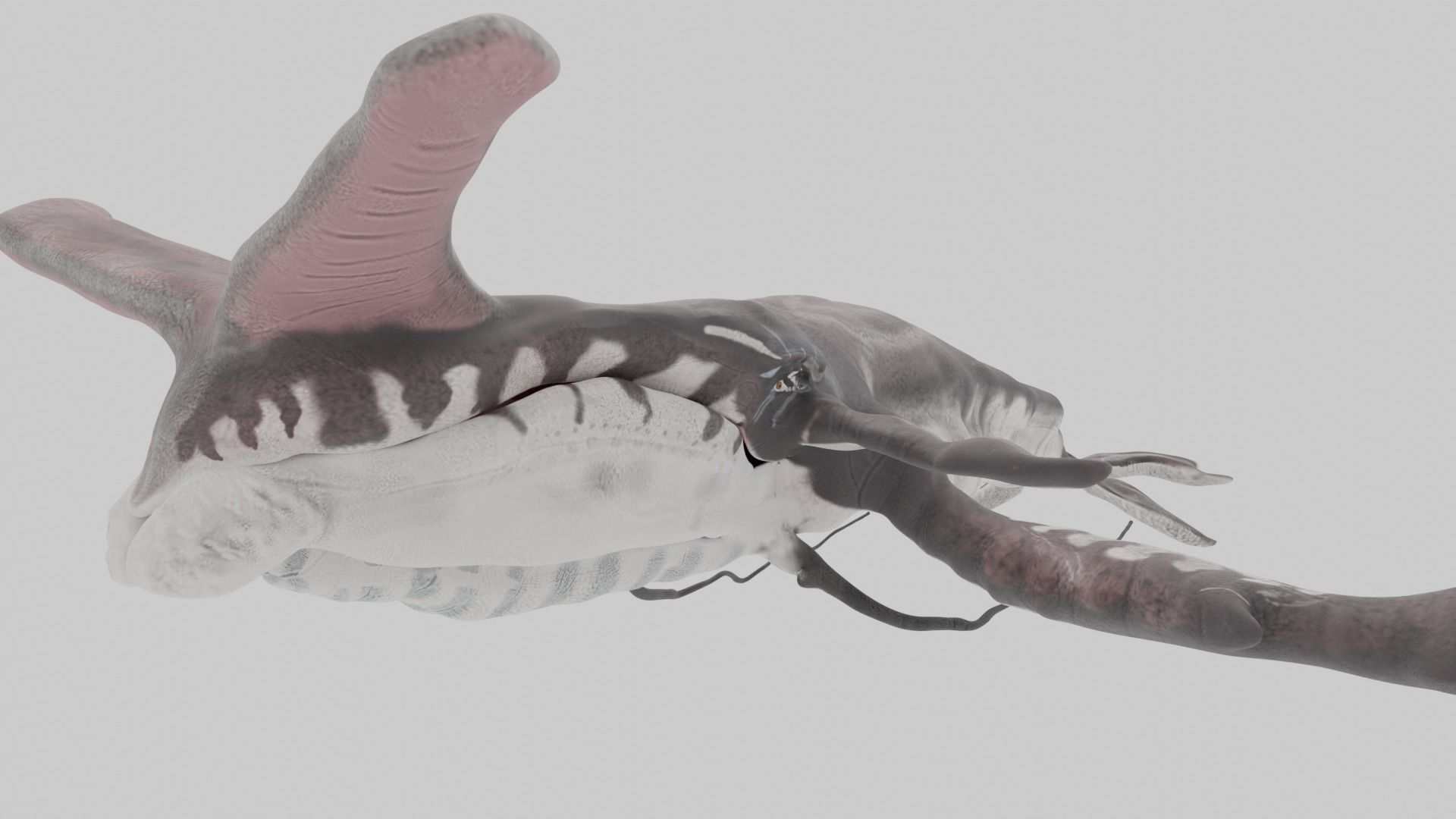 3D model Tulkun from Avatar Rigged 3D Model VR / AR / low-poly | CGTrader