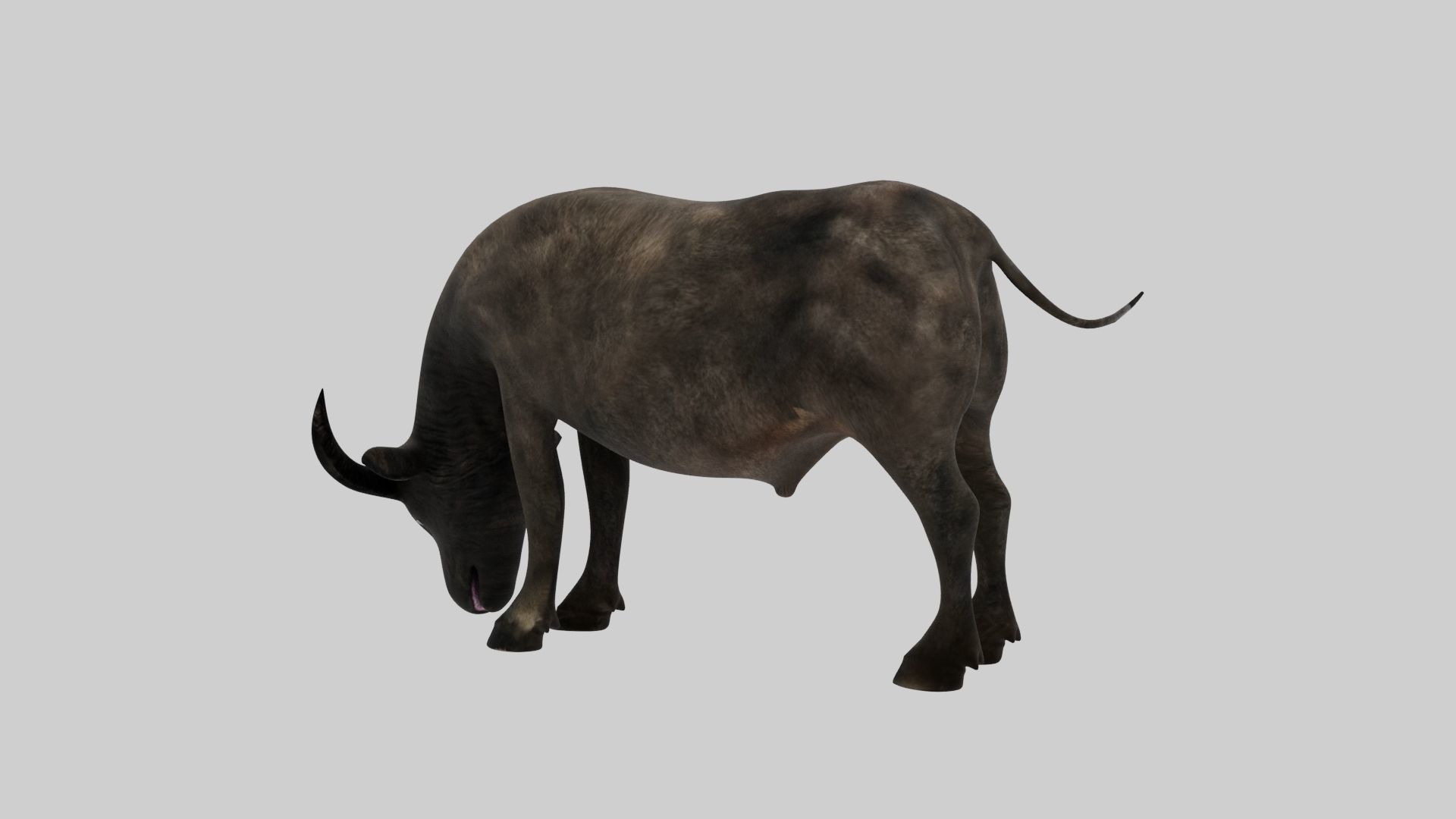 3D model Buffalo Animated VFX Grace VR / AR / low-poly | CGTrader