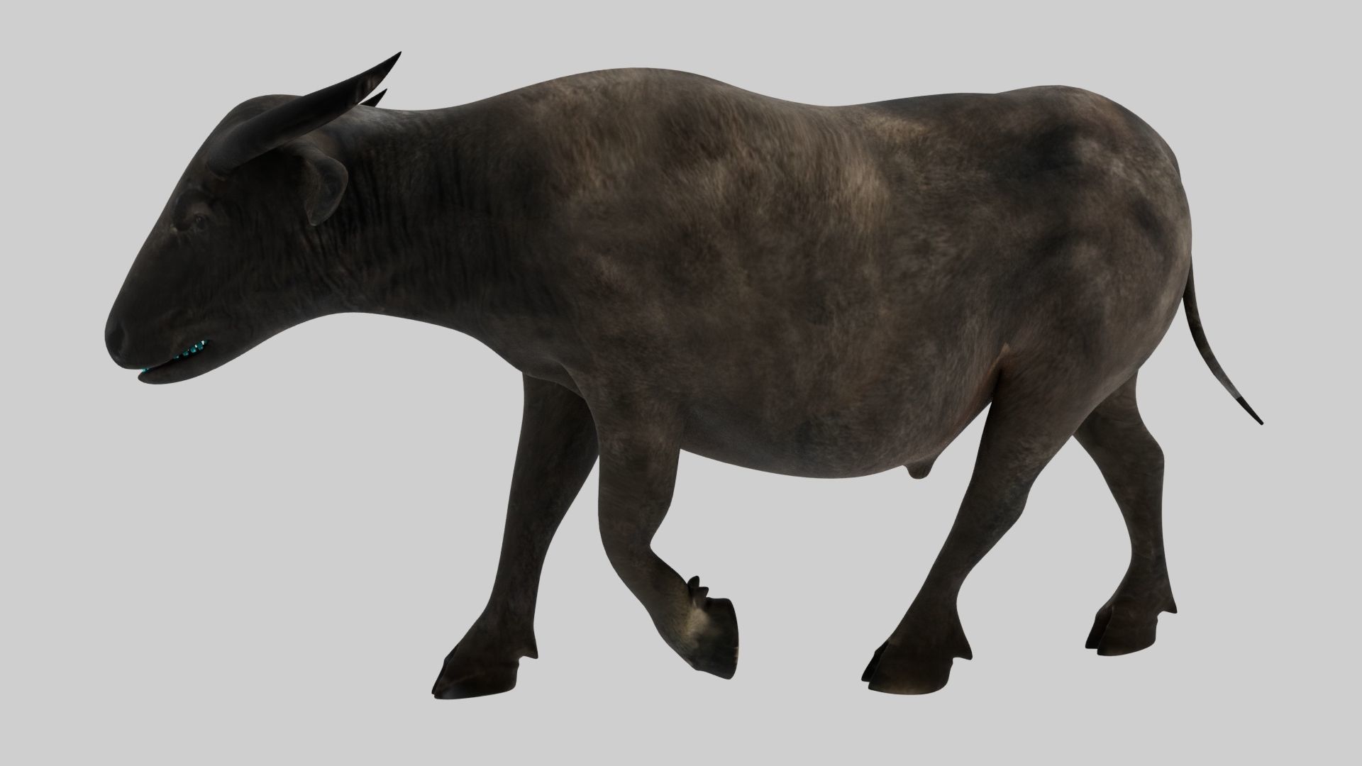 3D model Buffalo Animated VFX Grace VR / AR / low-poly | CGTrader