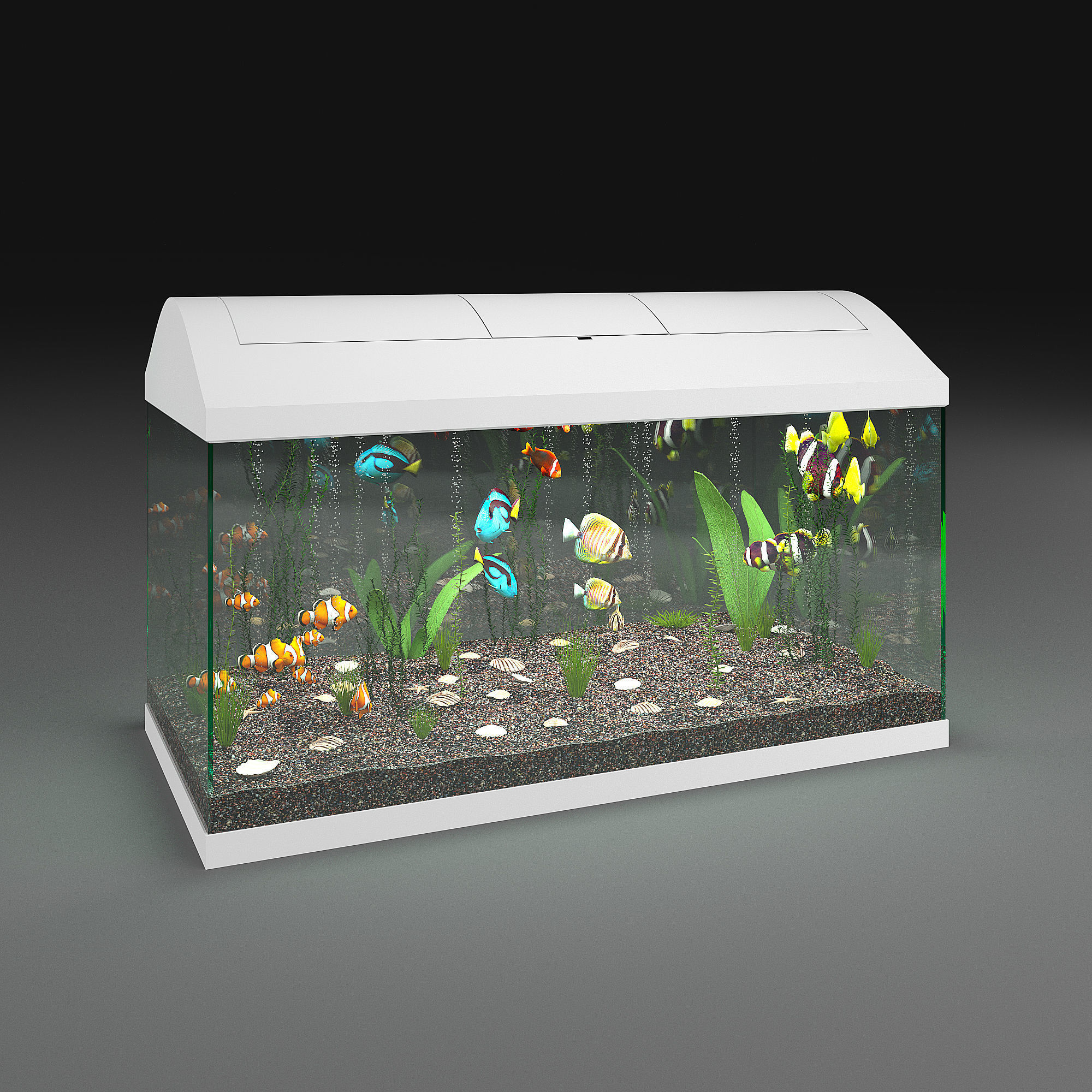 Aquarium fish tank 3D model | CGTrader