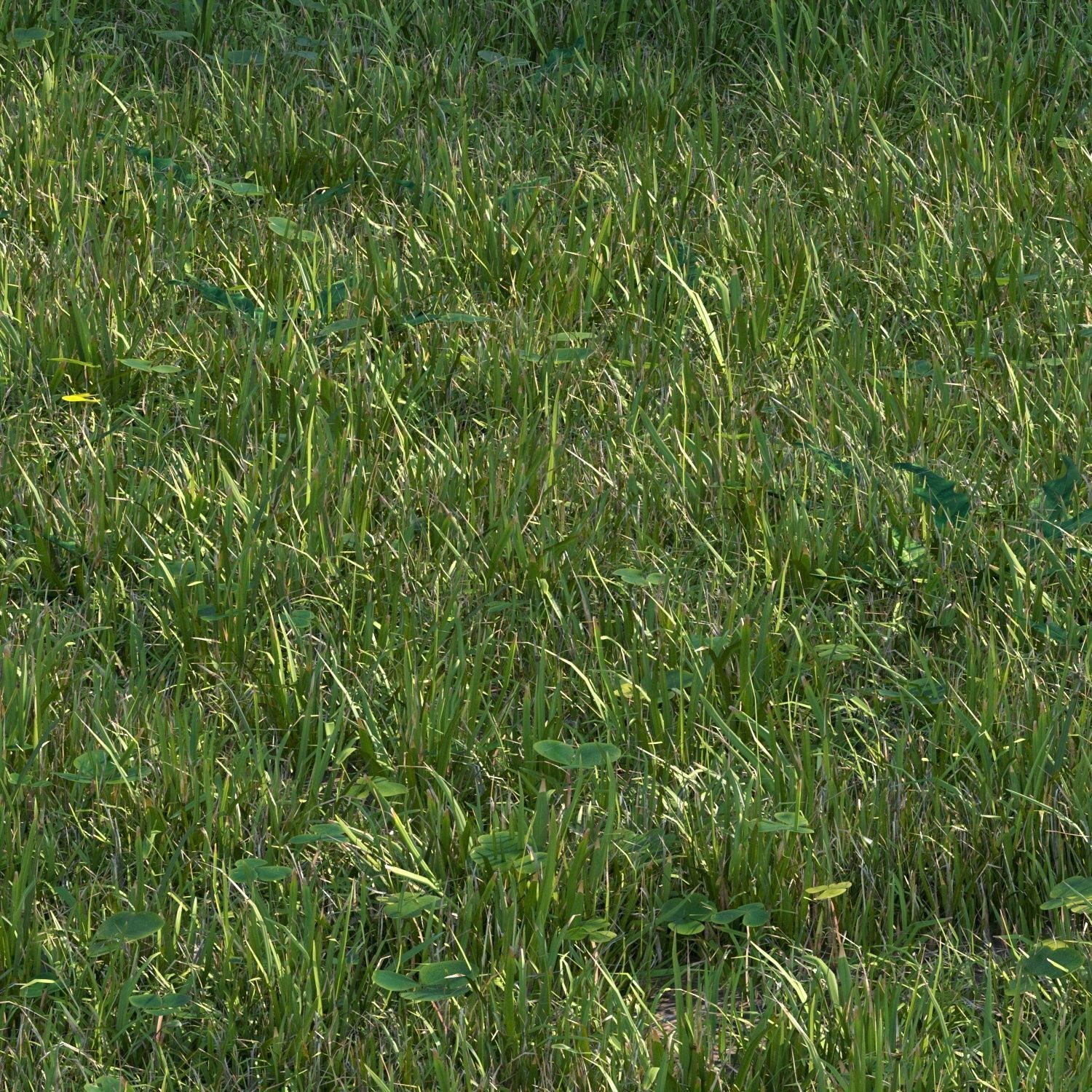 grass set04 3D model | CGTrader