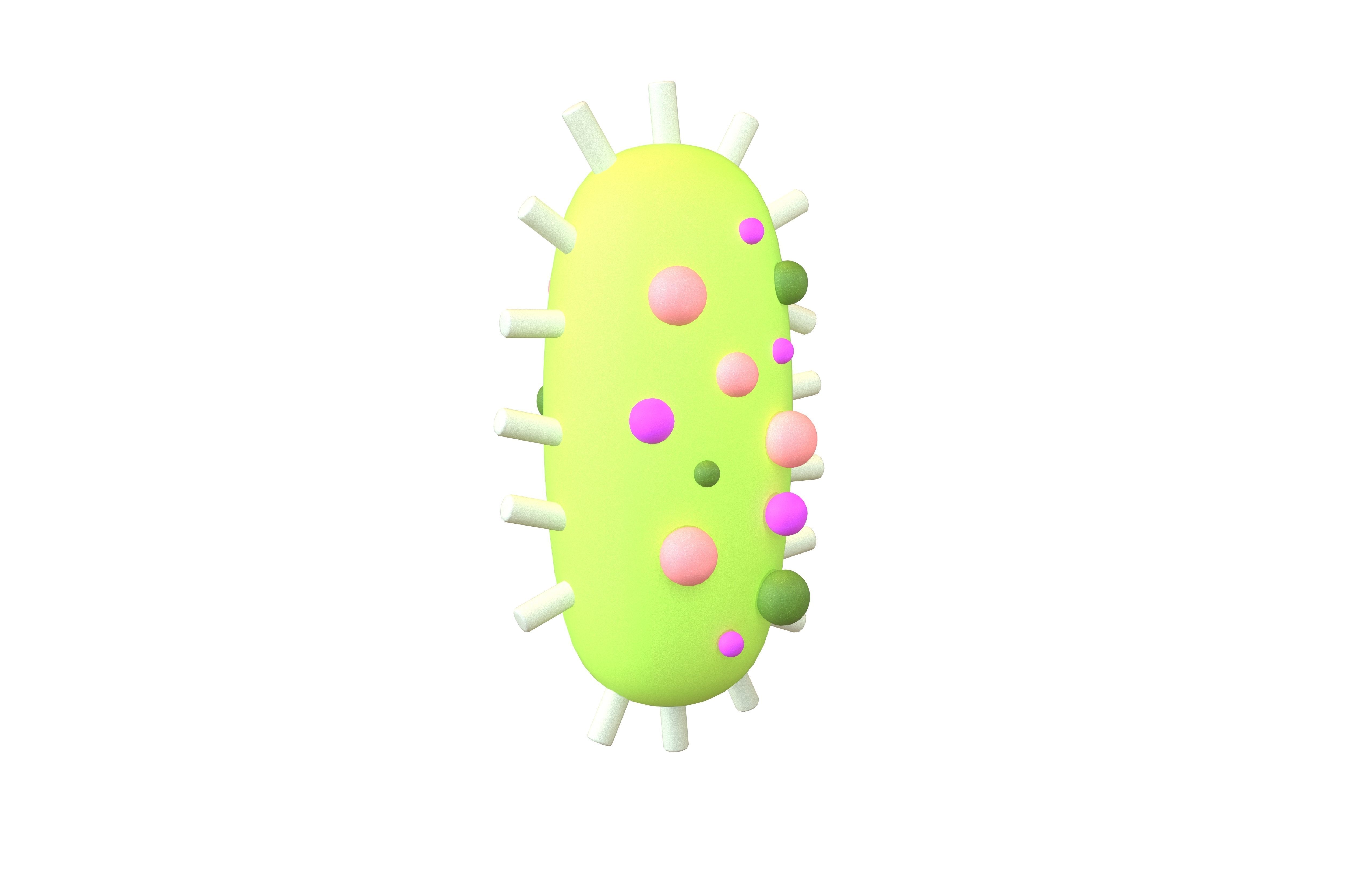 3D model Bacteria Icon v1 002 VR / AR / low-poly | CGTrader
