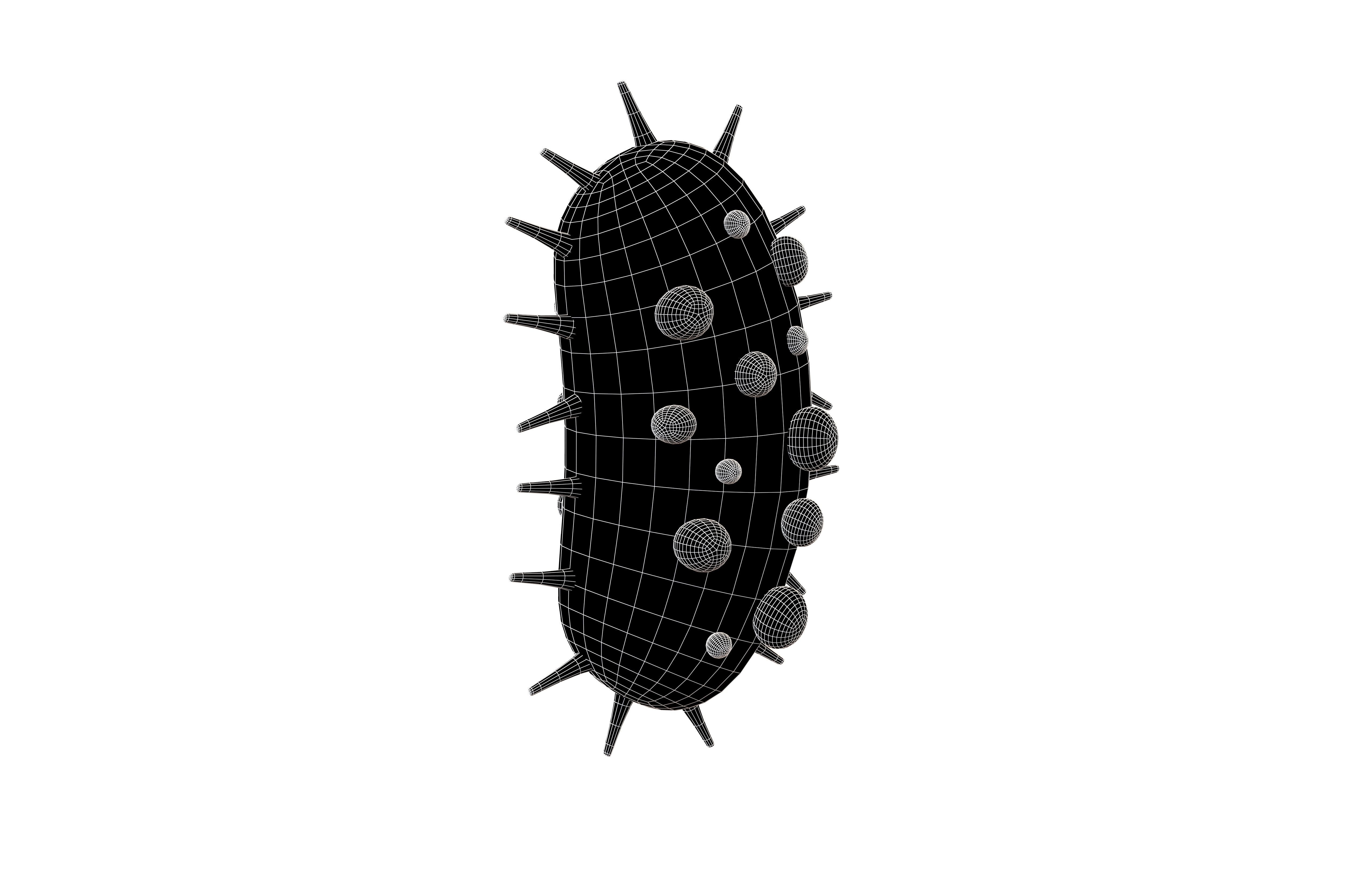 3D model Bacteria Icon v2 001 VR / AR / low-poly | CGTrader