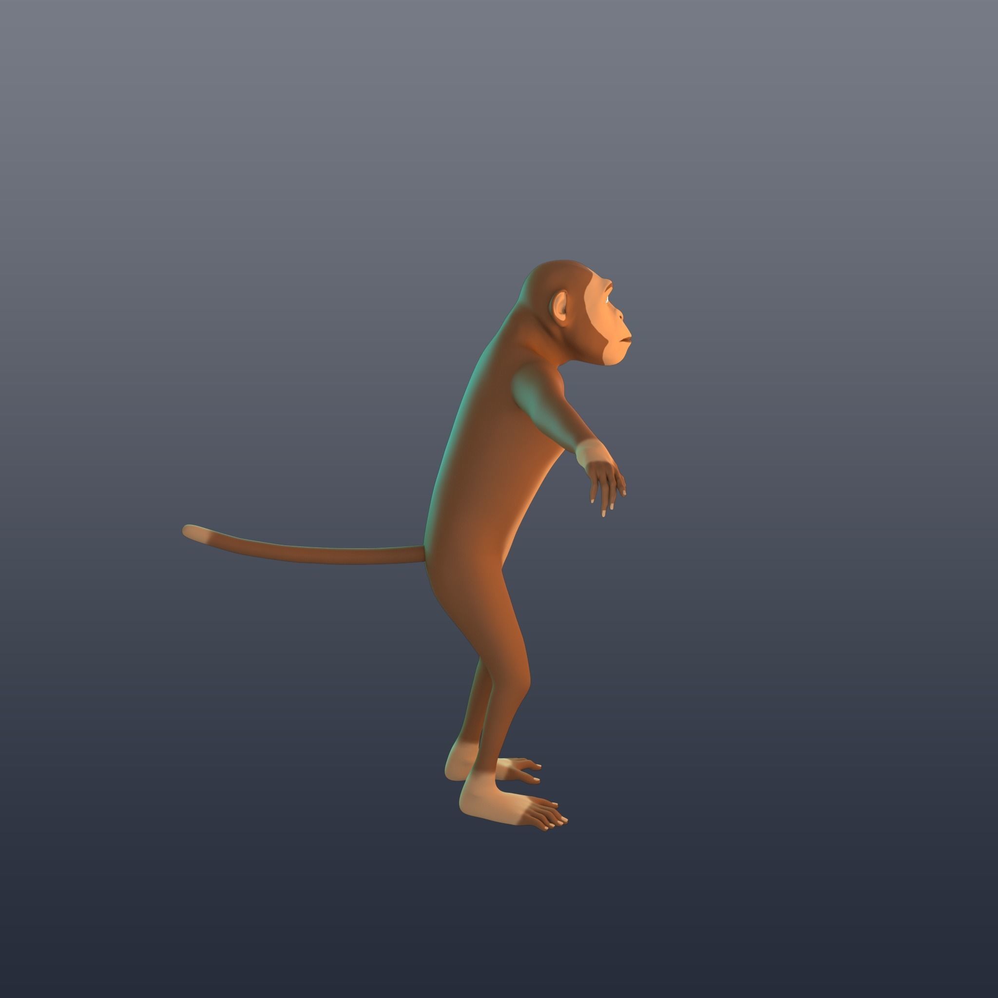 3D model Stylized Monkey Rigged VR / AR / low-poly | CGTrader