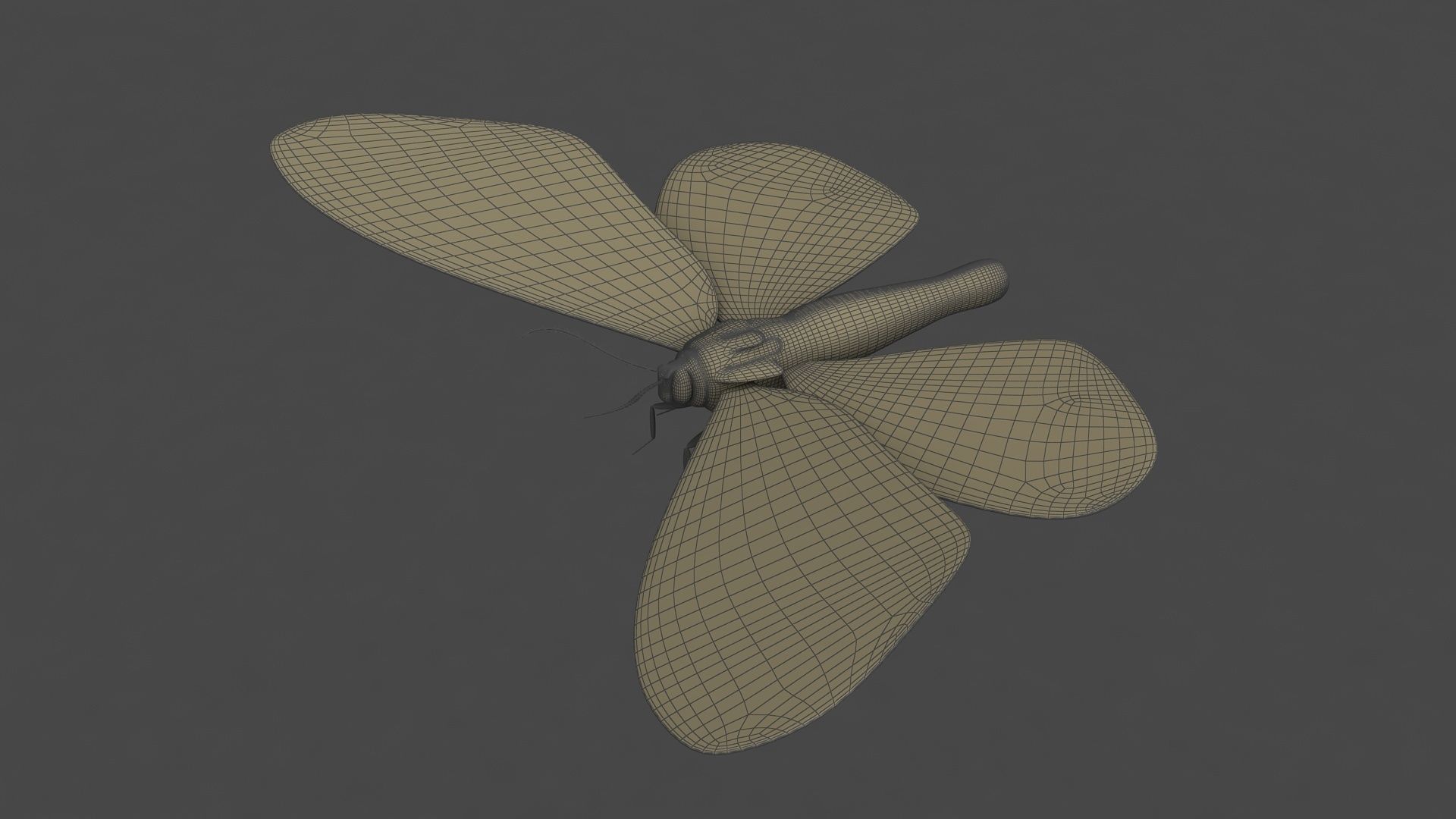 Owl Moth 3D model | CGTrader