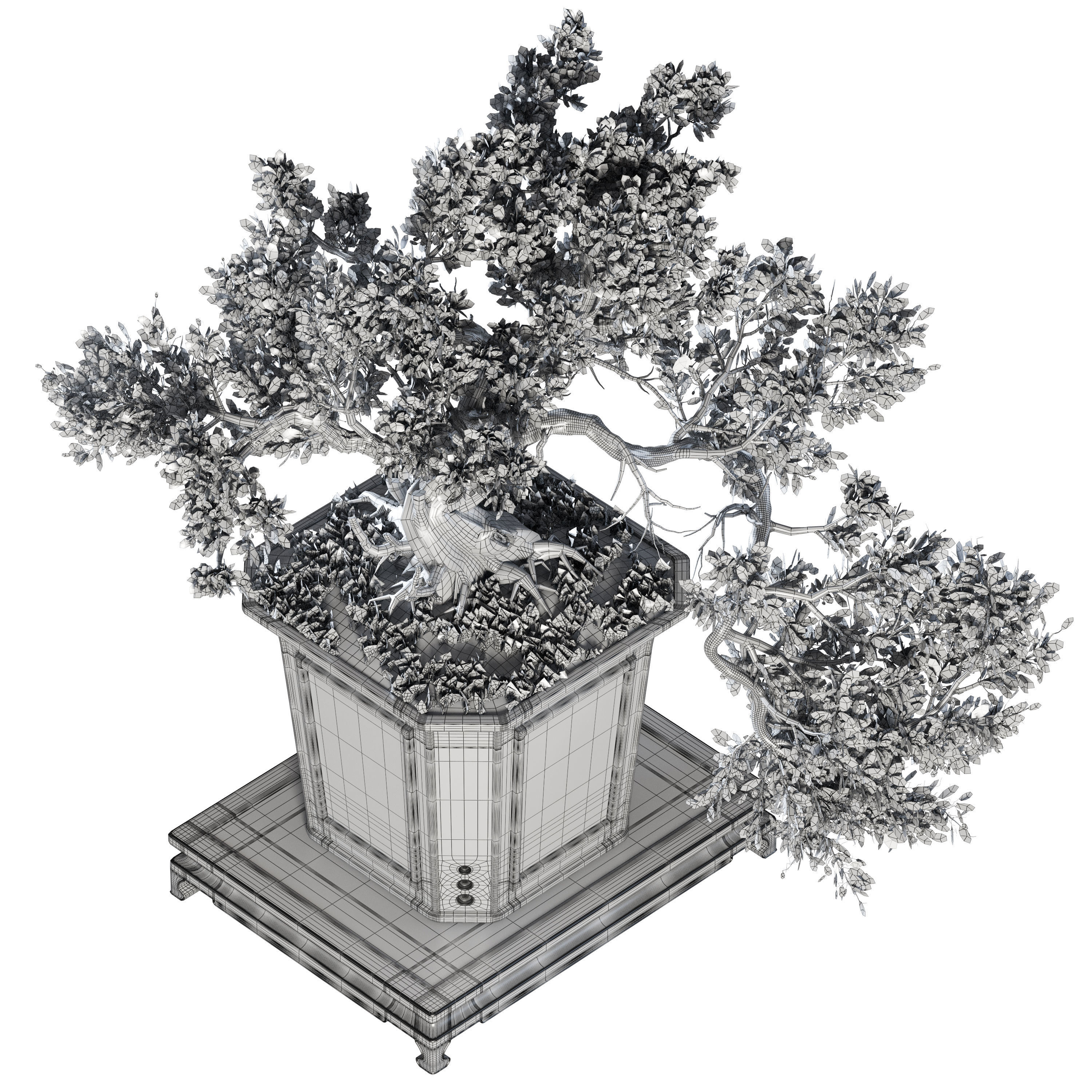 Bonsai Collection 03 3D model | CGTrader