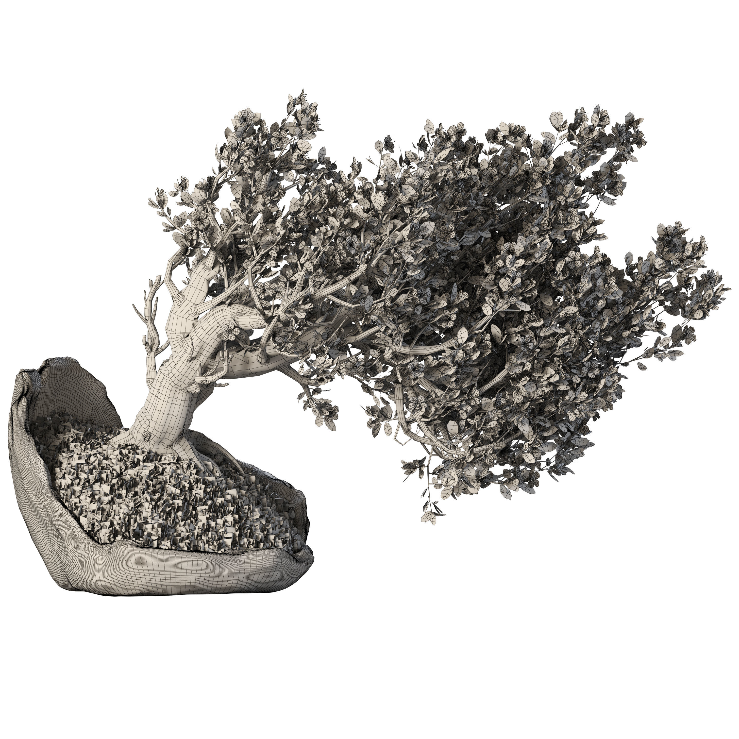 Bonsai 04 3D model | CGTrader
