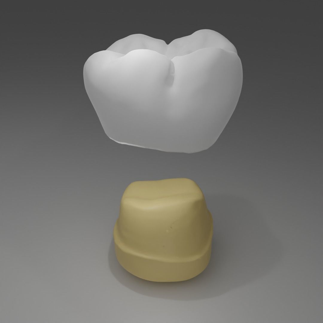 Molar Tooth 46 3D model | CGTrader