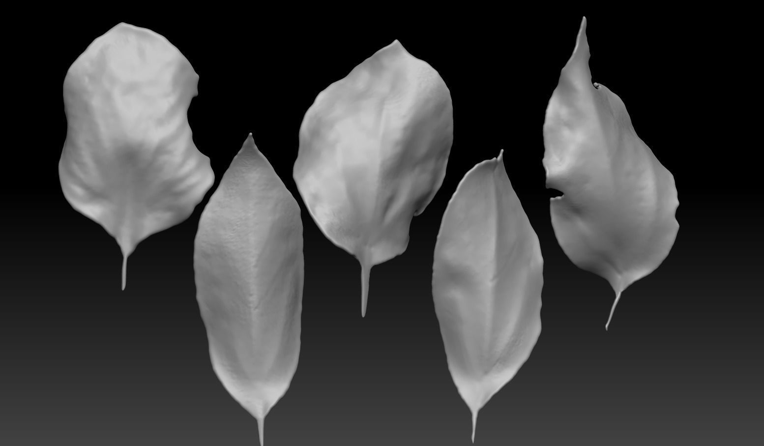 3D printing leaves ZB leaf brush Plant leaves 3D model 3D printable ...