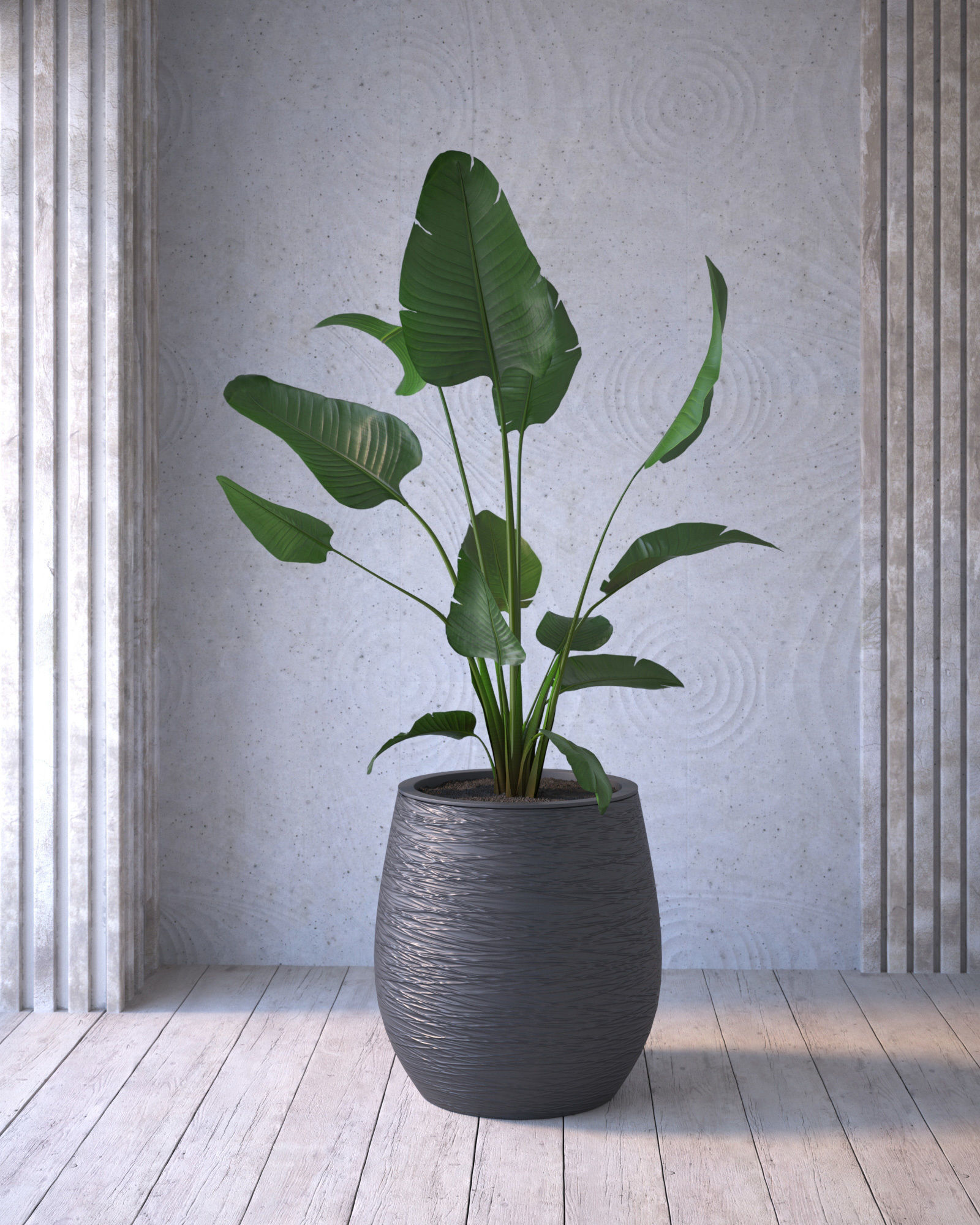 Archmodels vol 268 - collection of indoor plants 3D model | CGTrader