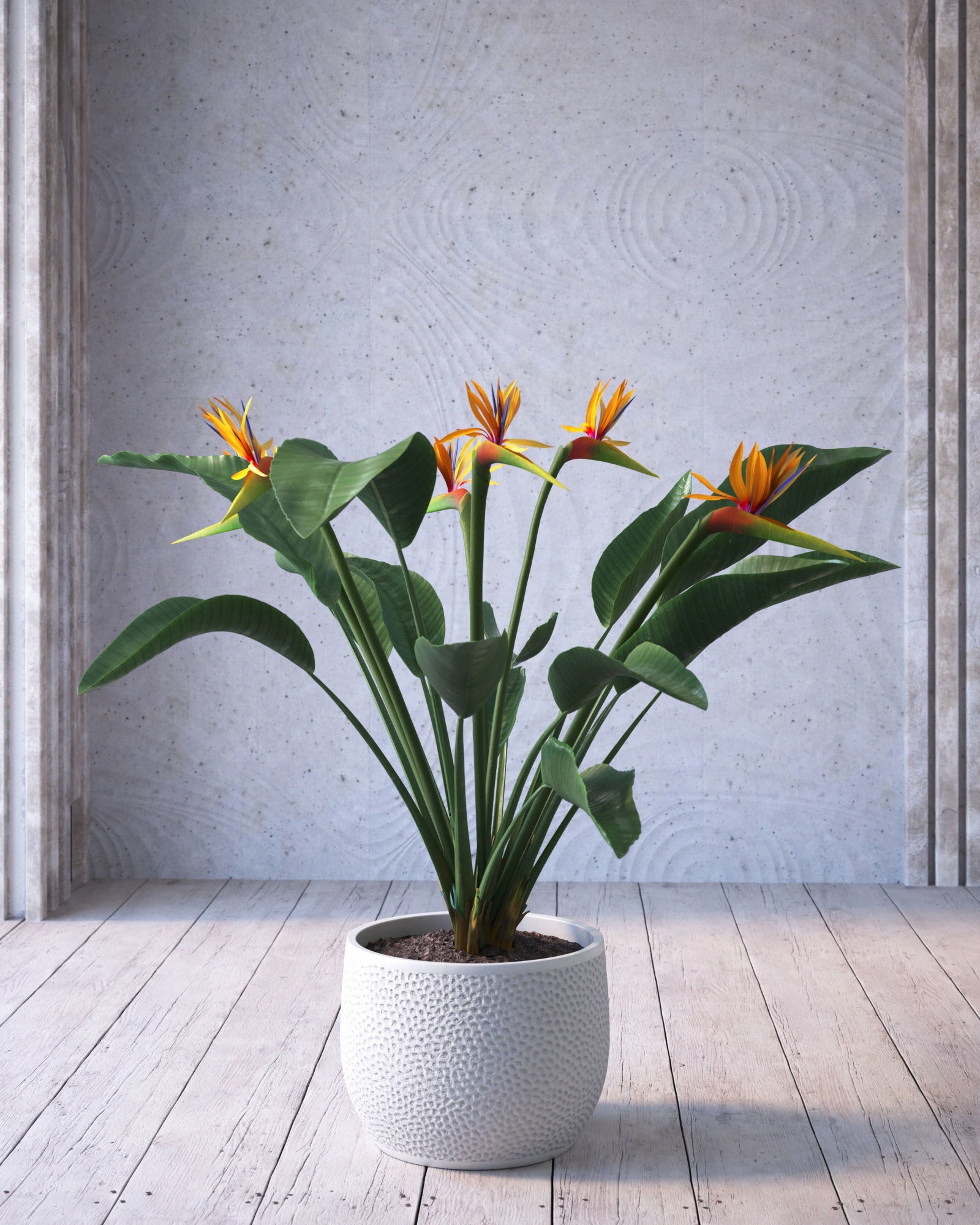 Archmodels vol 268 - collection of indoor plants 3D model | CGTrader