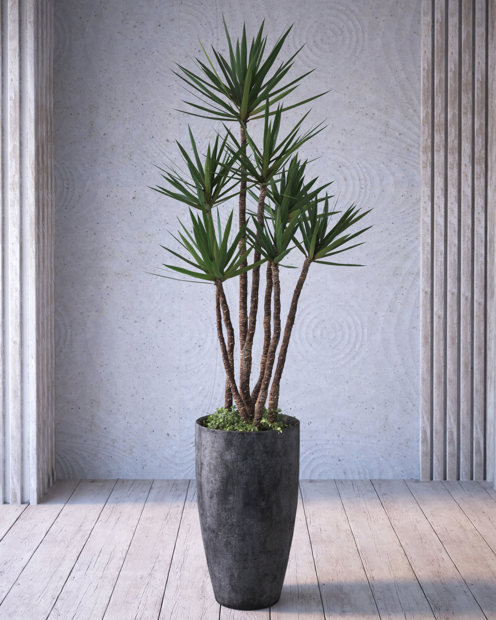 Archmodels vol 268 - collection of indoor plants 3D model | CGTrader