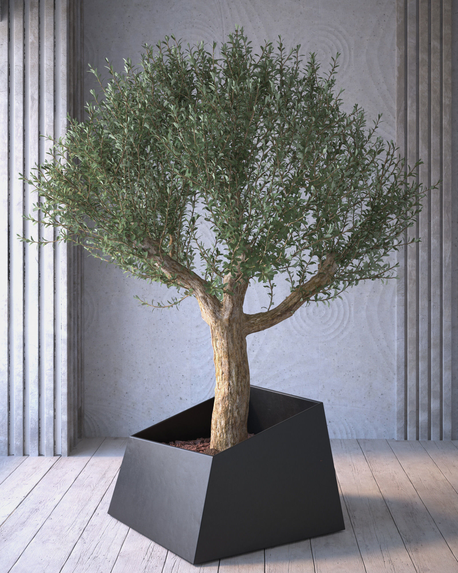 Archmodels vol 268 - collection of indoor plants 3D model | CGTrader