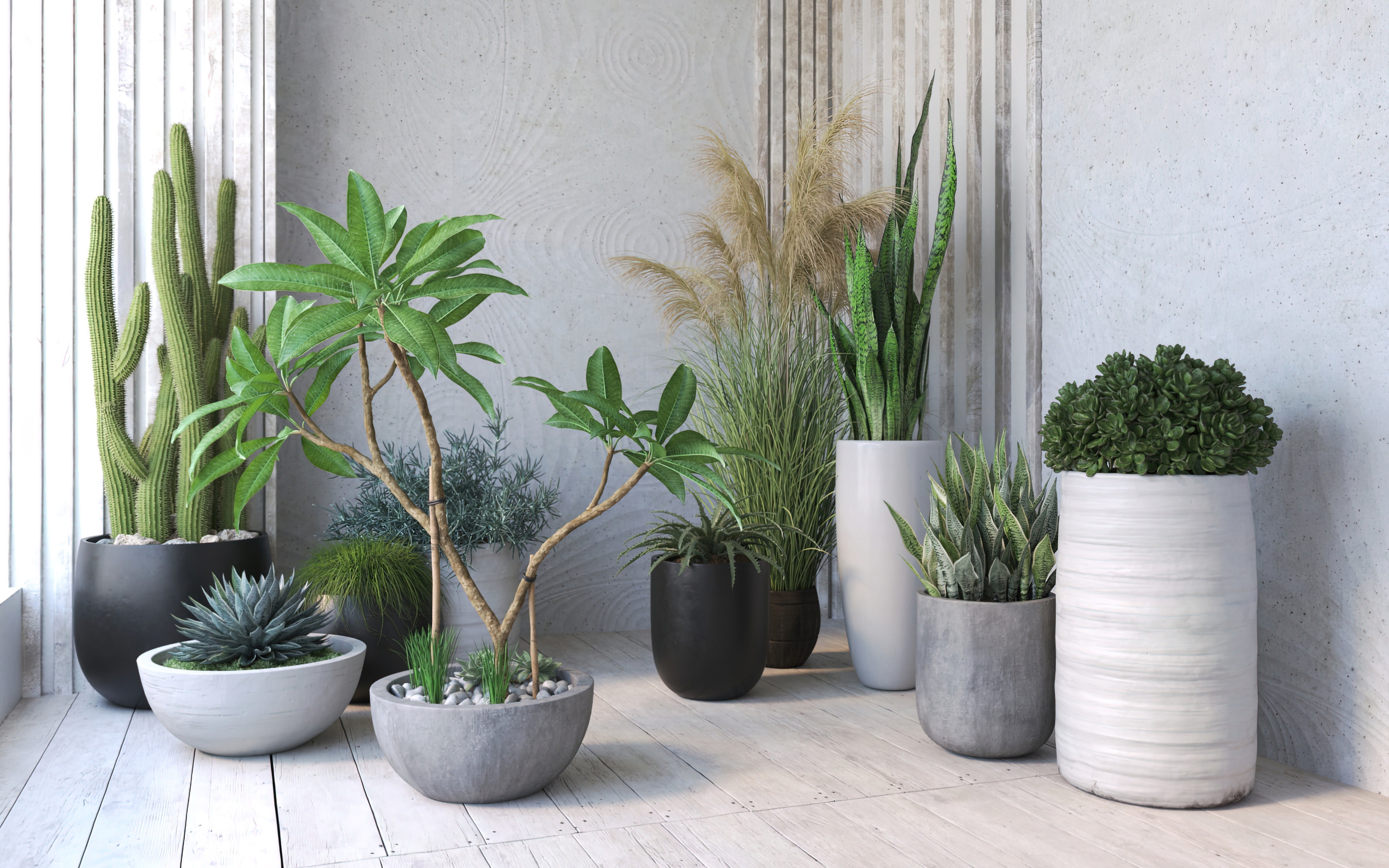 Archmodels vol 268 - collection of indoor plants 3D model | CGTrader